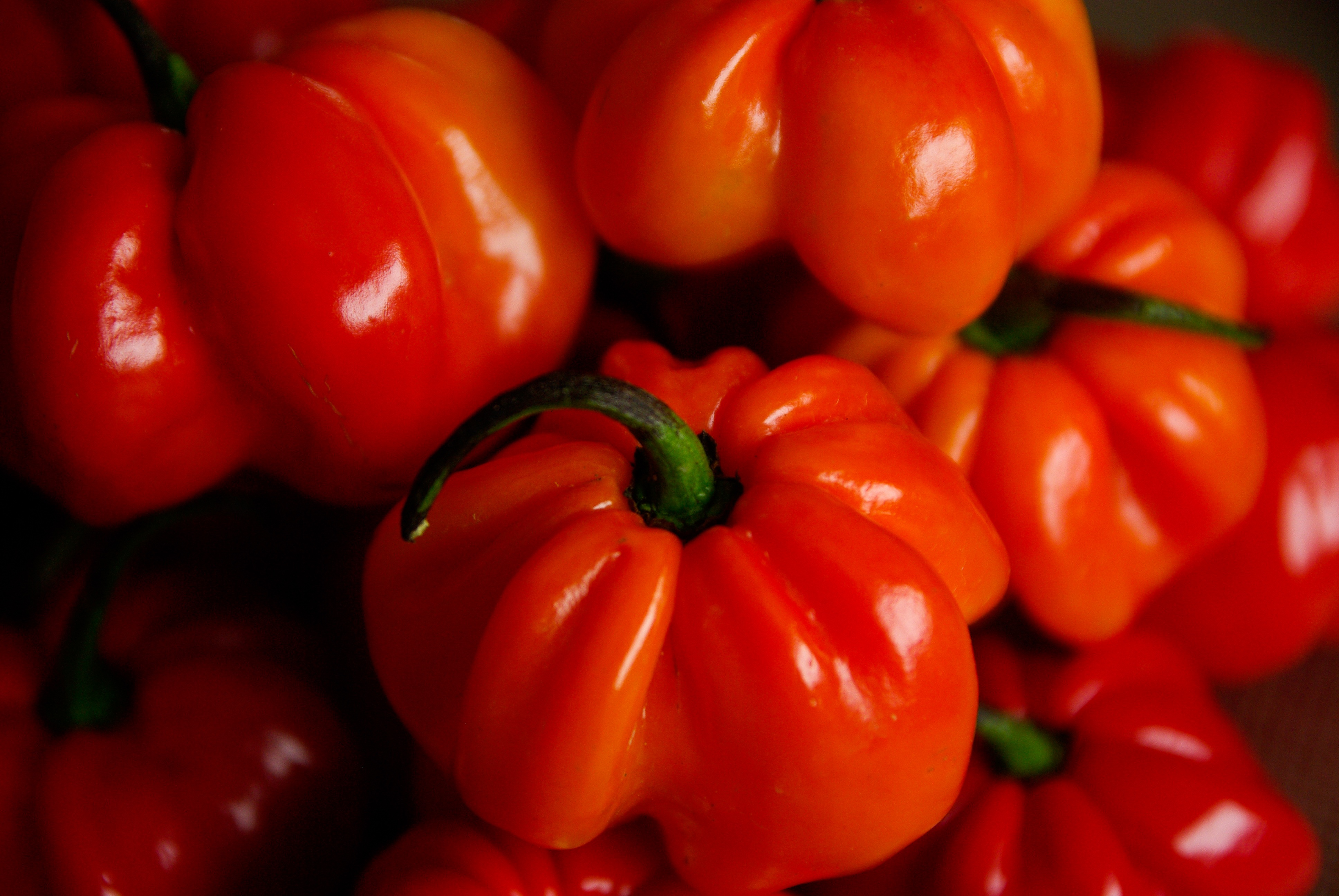 Peppers West Indies Spices free image download