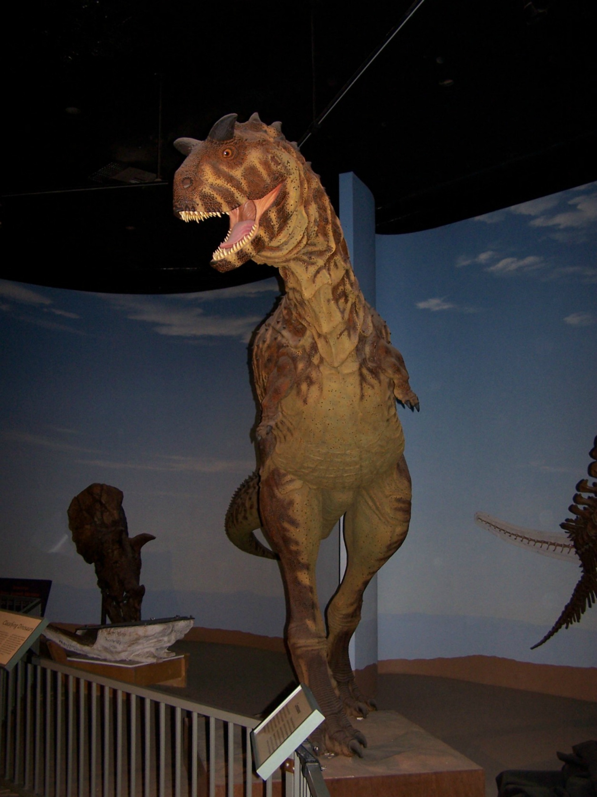 Dinosaur Museum Model free image download