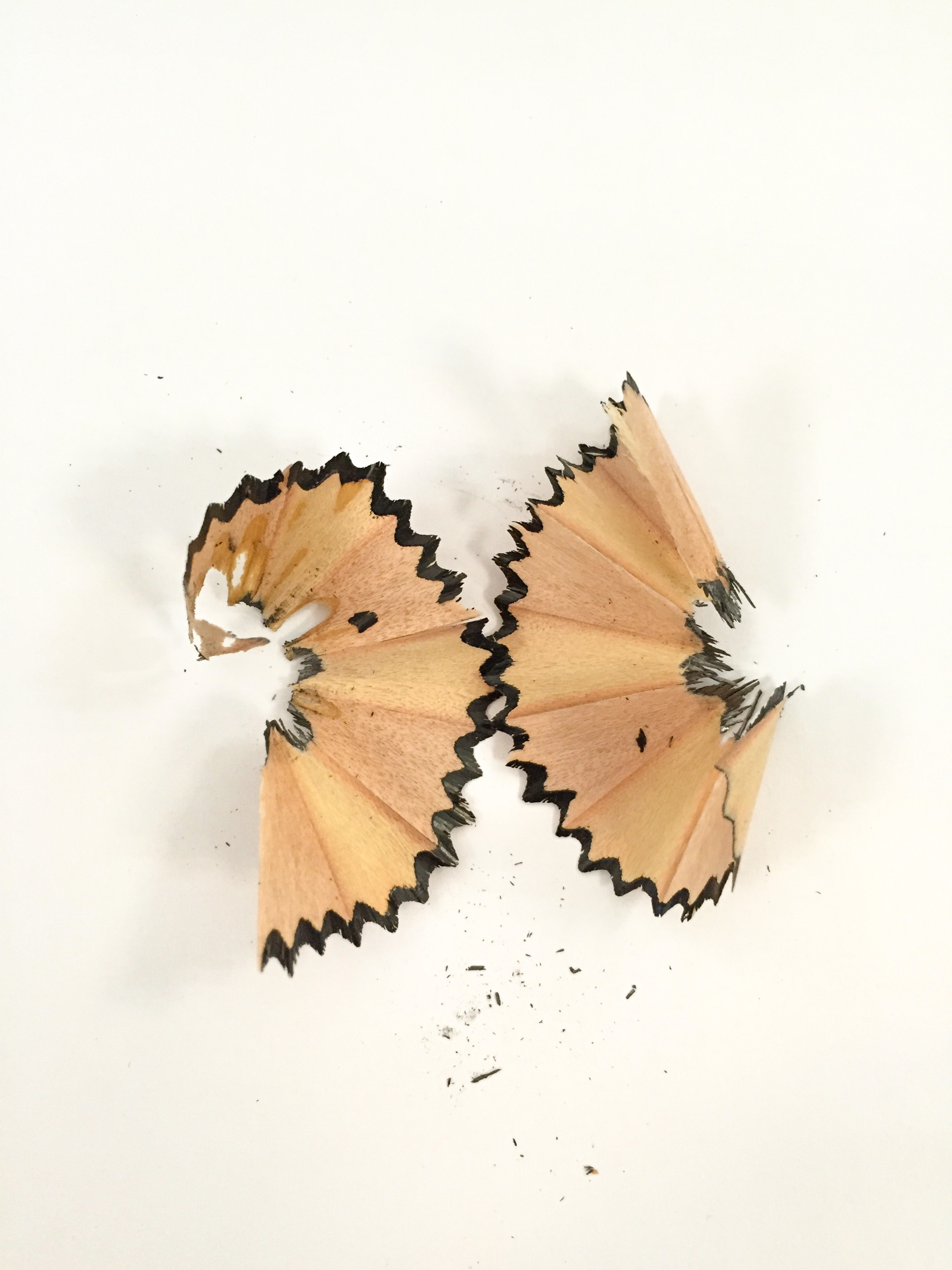 Pencil Cut Wood Shavings free image download