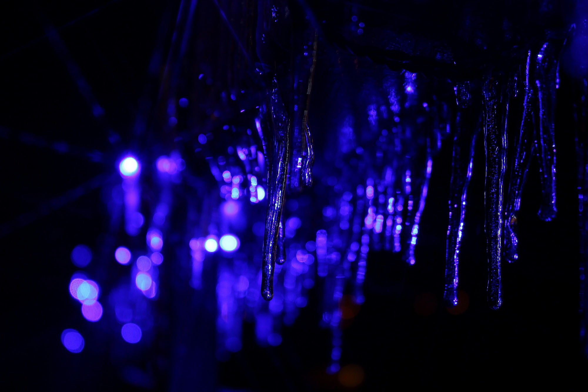 Winter Icicle Frost free image download