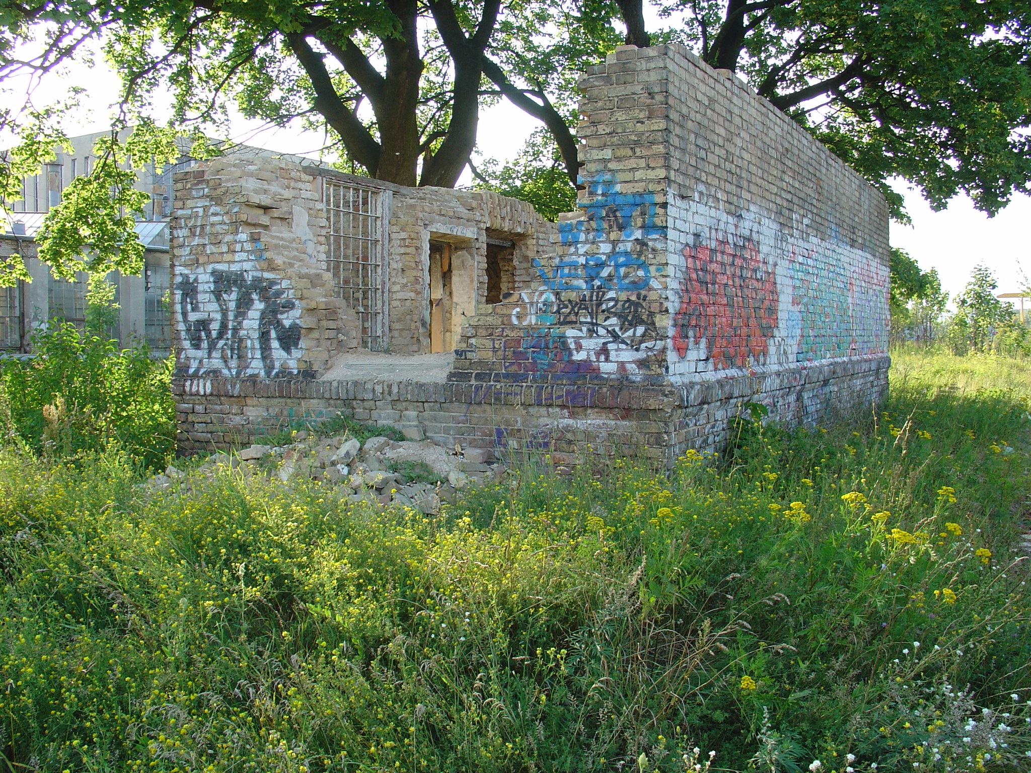 Park Tree Lake Dusia The Ruins Of free image download