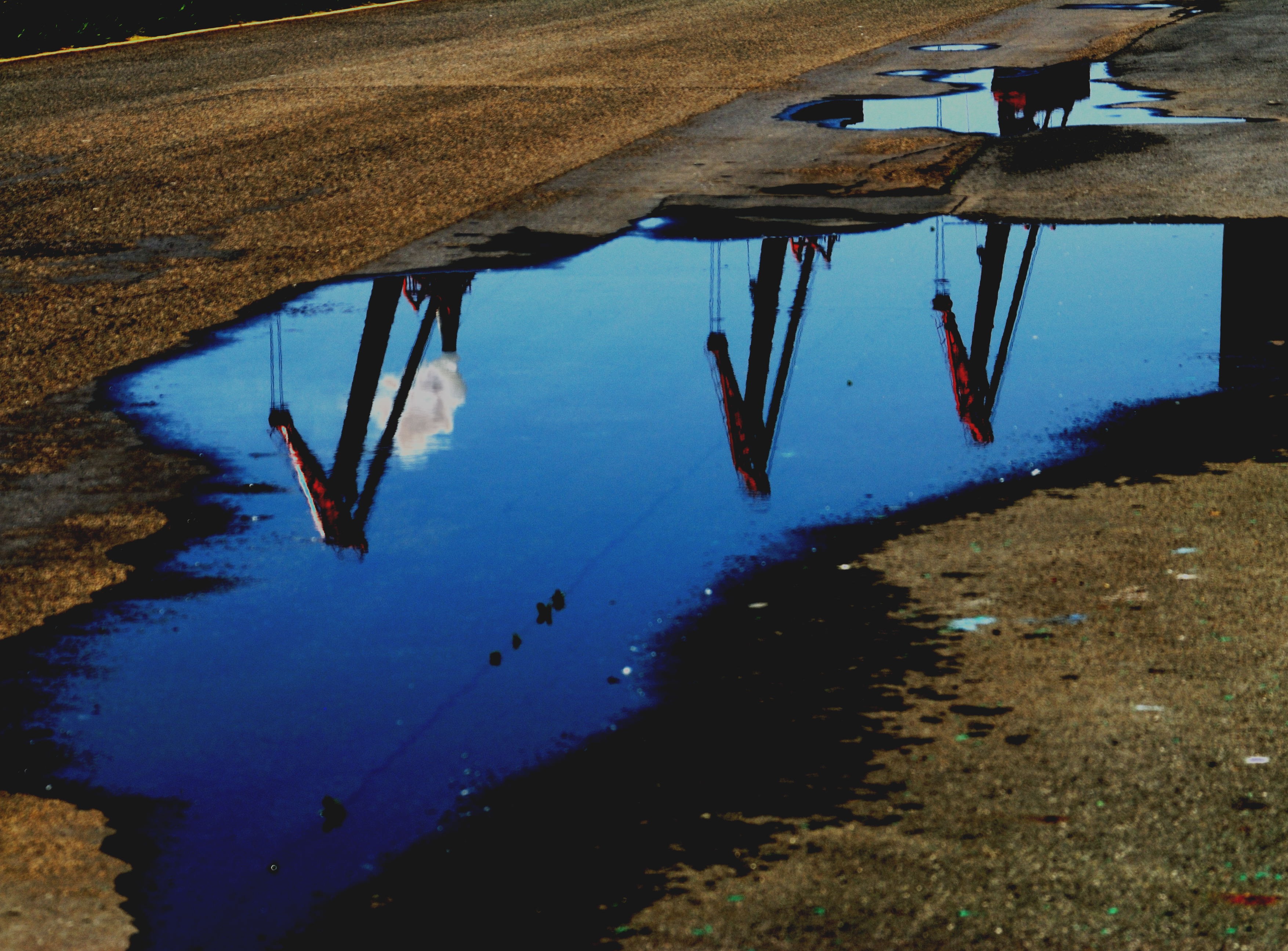 Puddle Water Cranes free image download