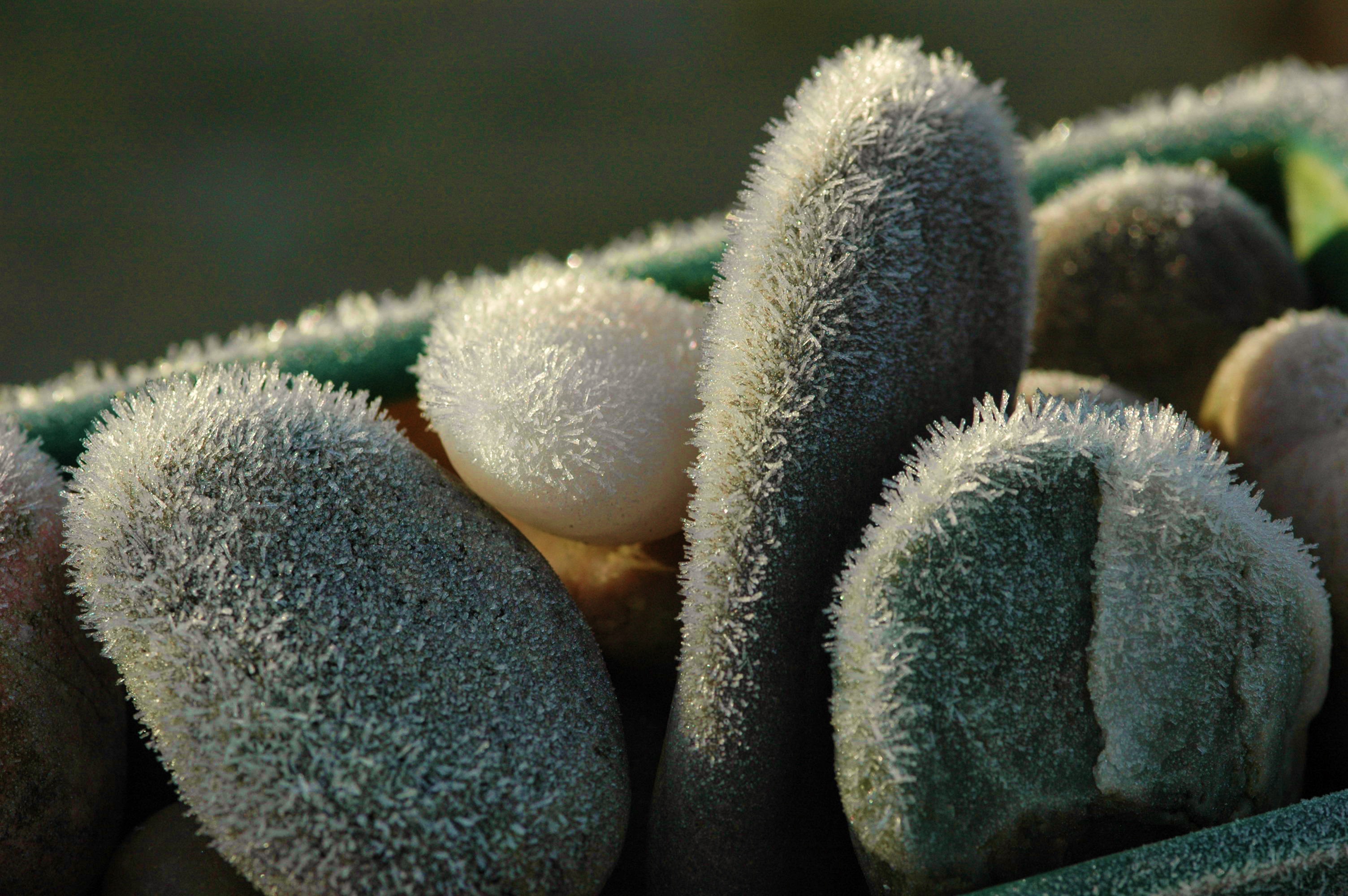 Frost Pebble Winter free image download