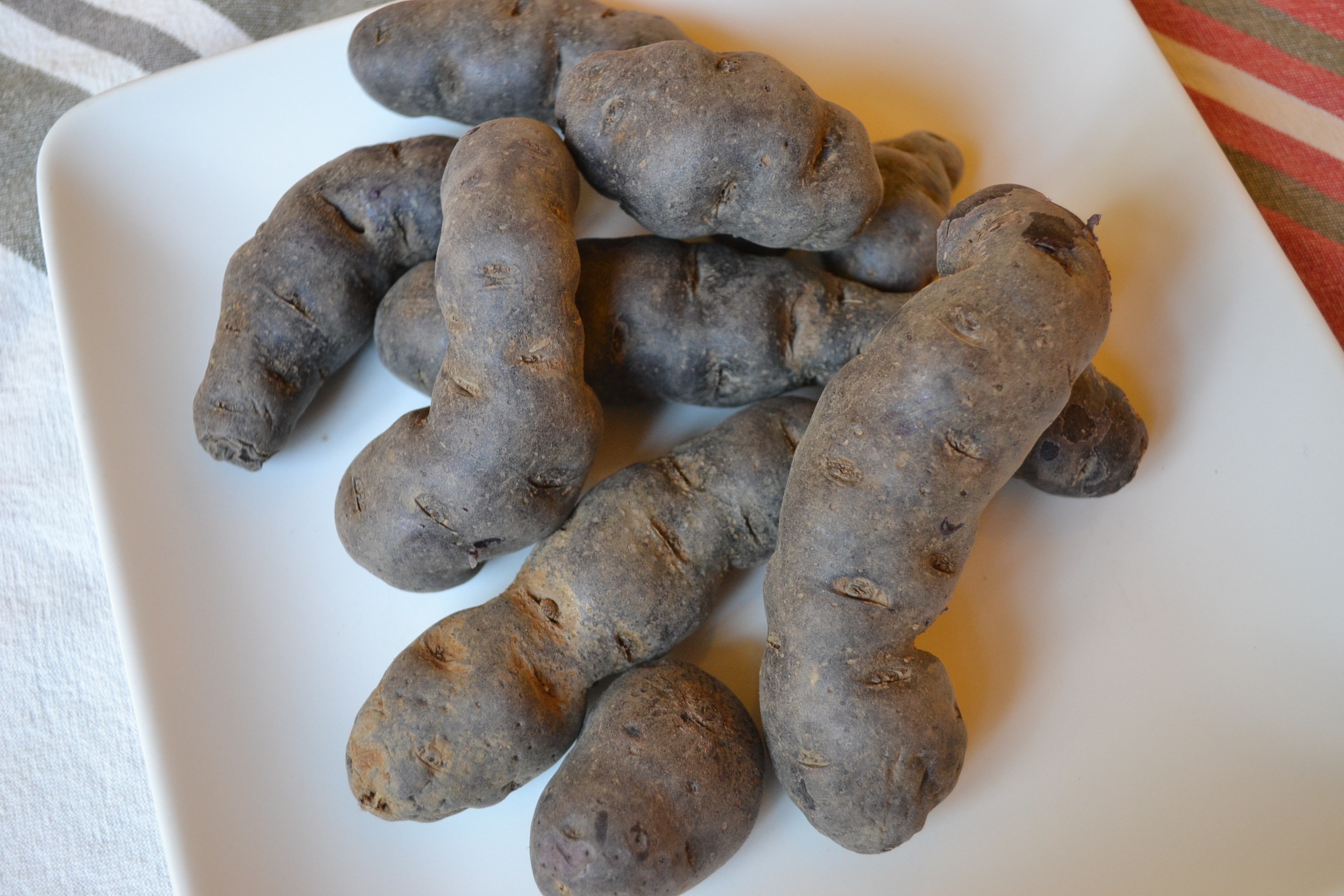 Potato free image download
