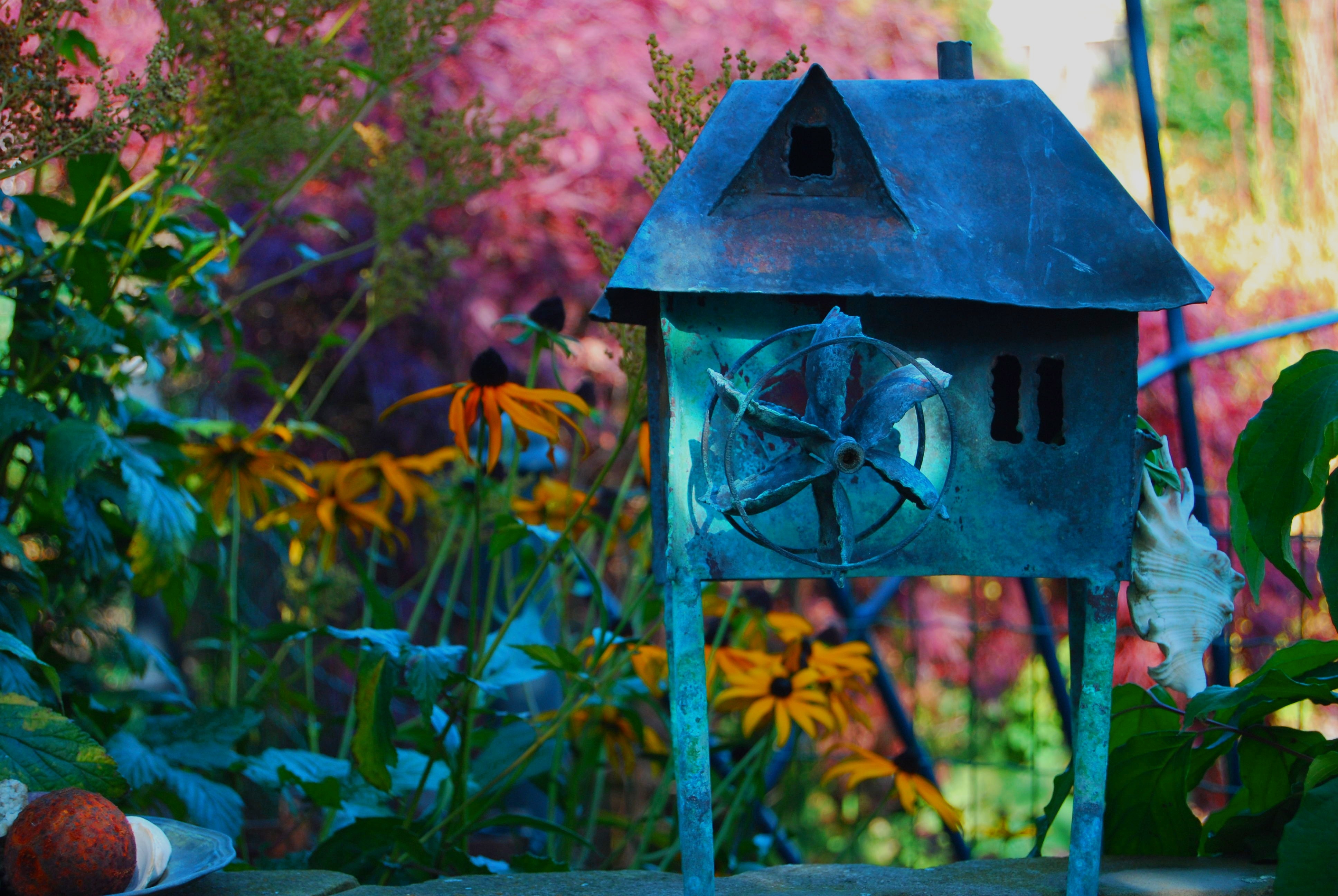 Windmill Garden free image download
