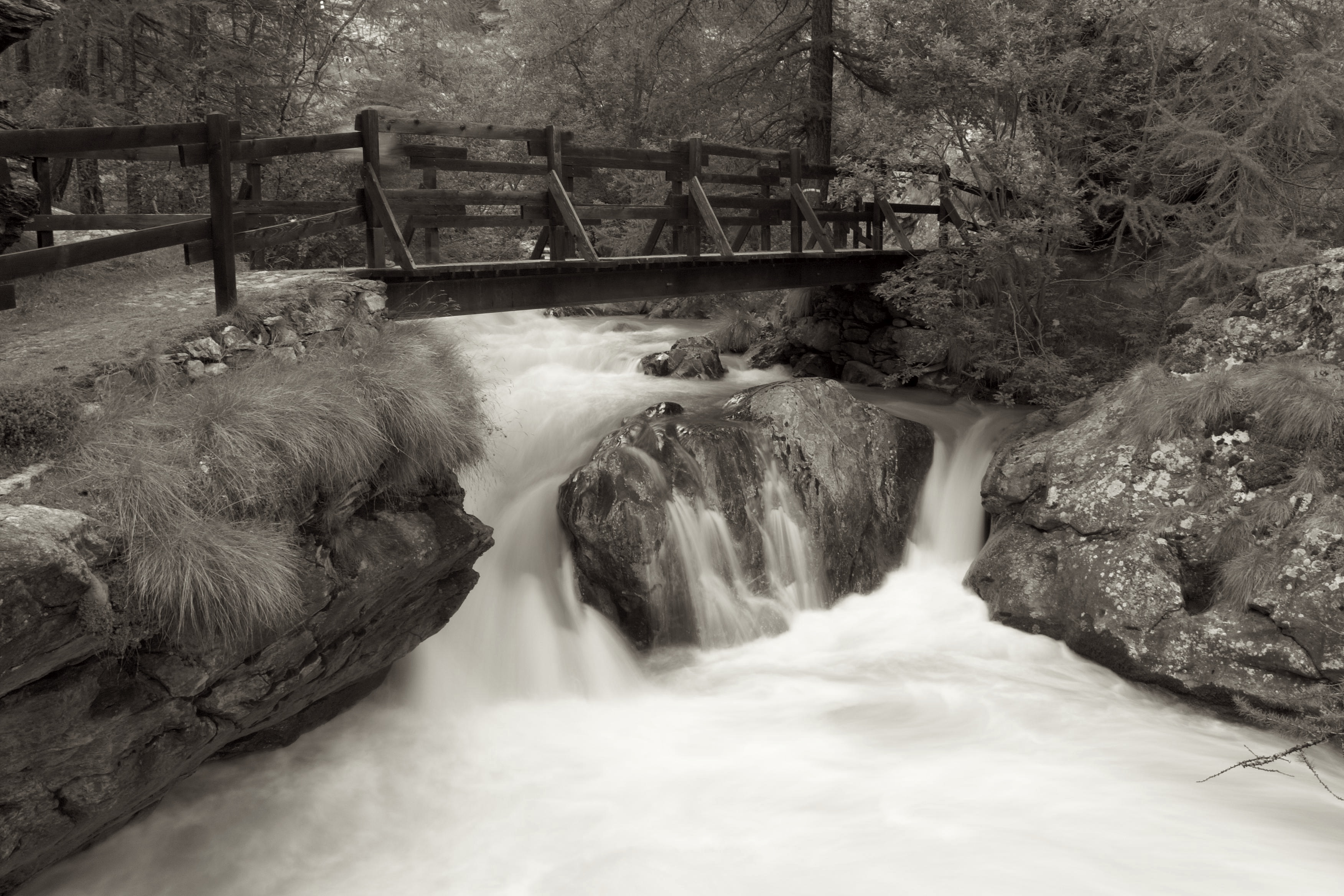 Torrent Water river monochrome photo free image download