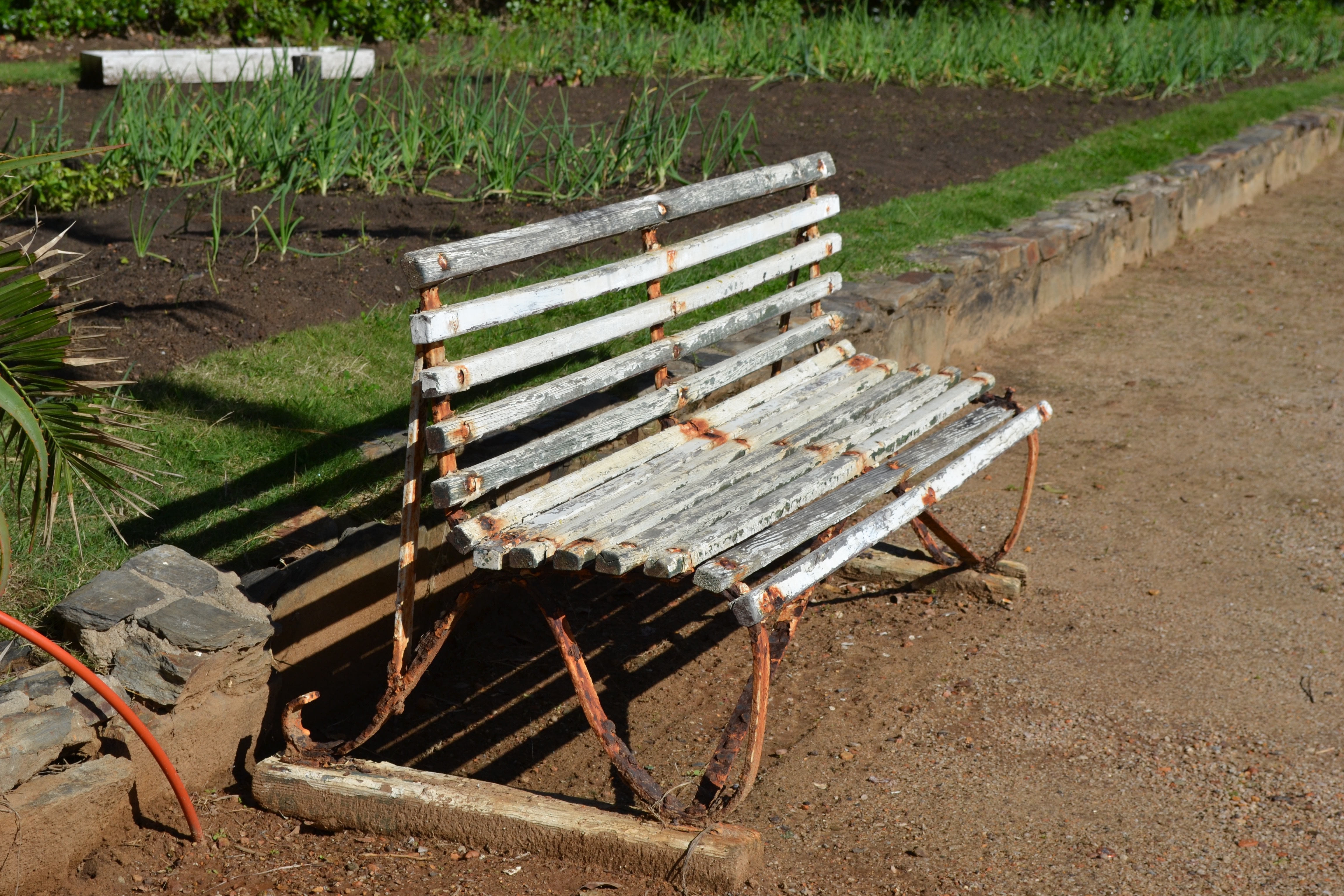 Rusty Old bench in park free image download