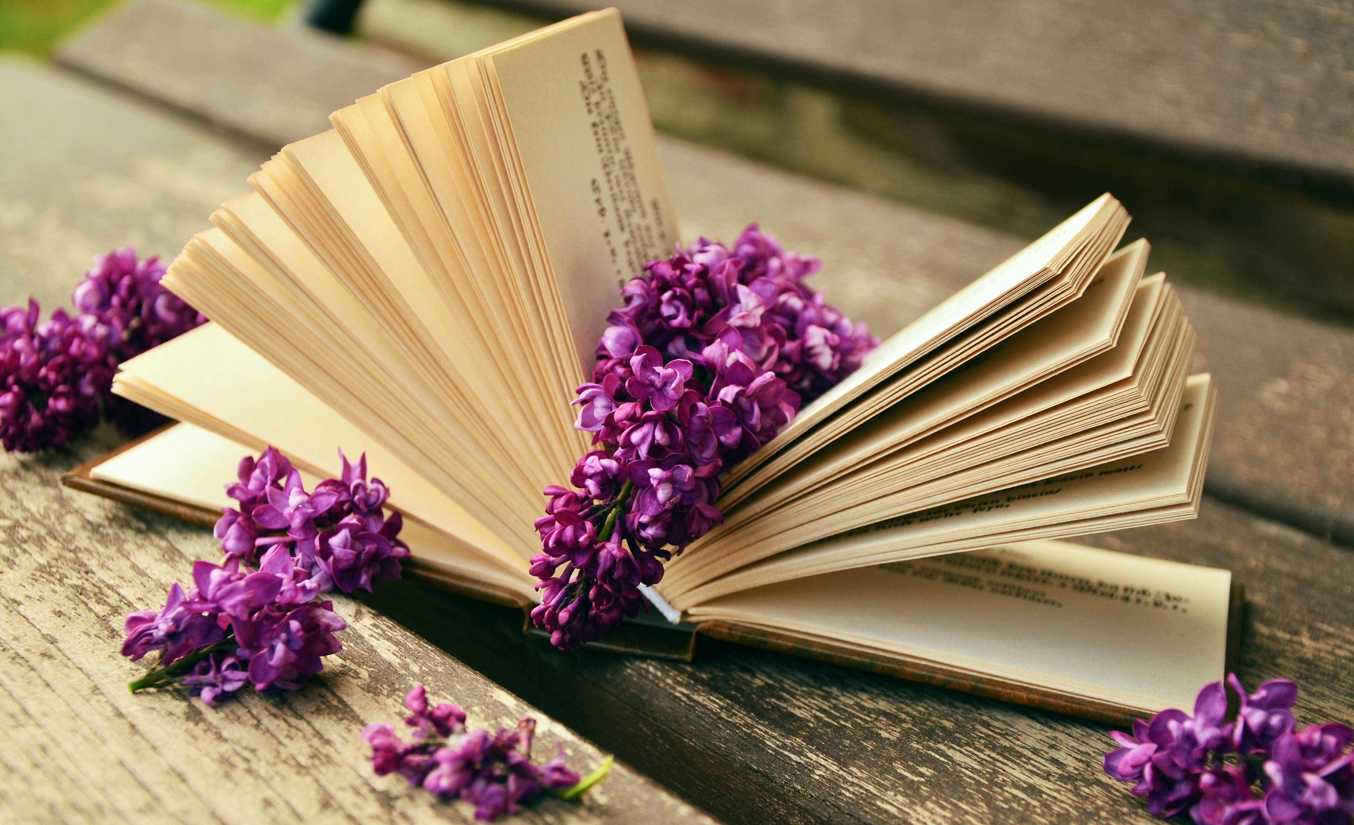 Book Read Relax free image download