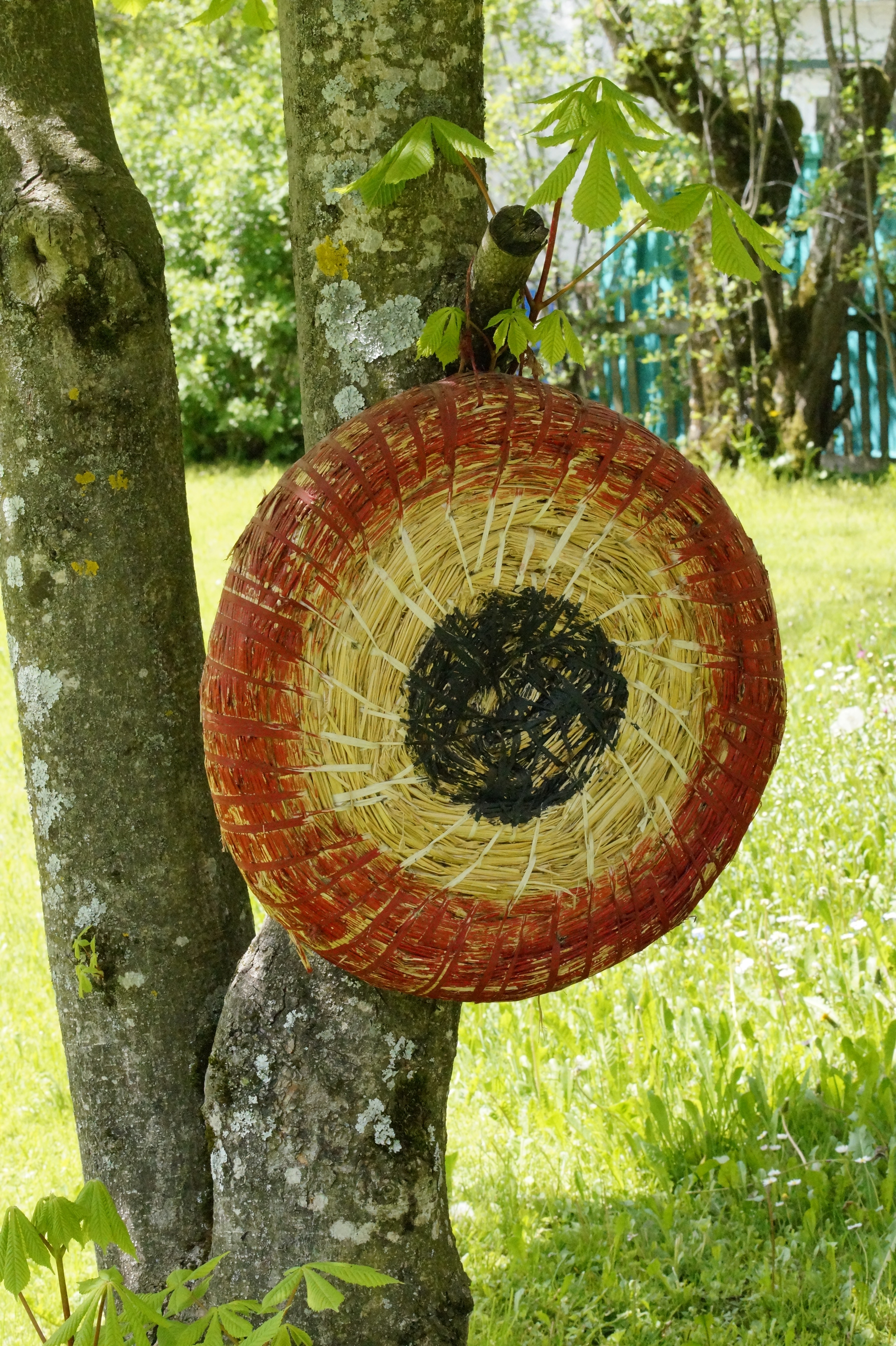Target Shoot Objectives free image download