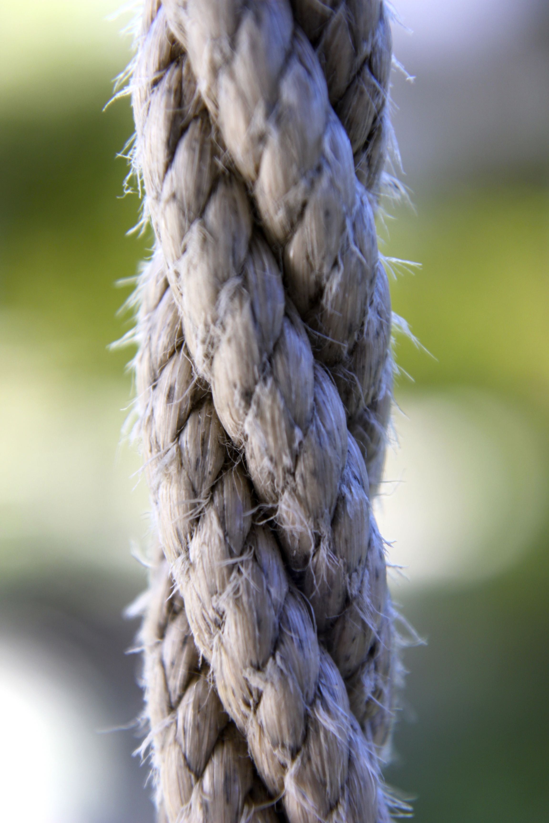 Rope Festival texture free image download