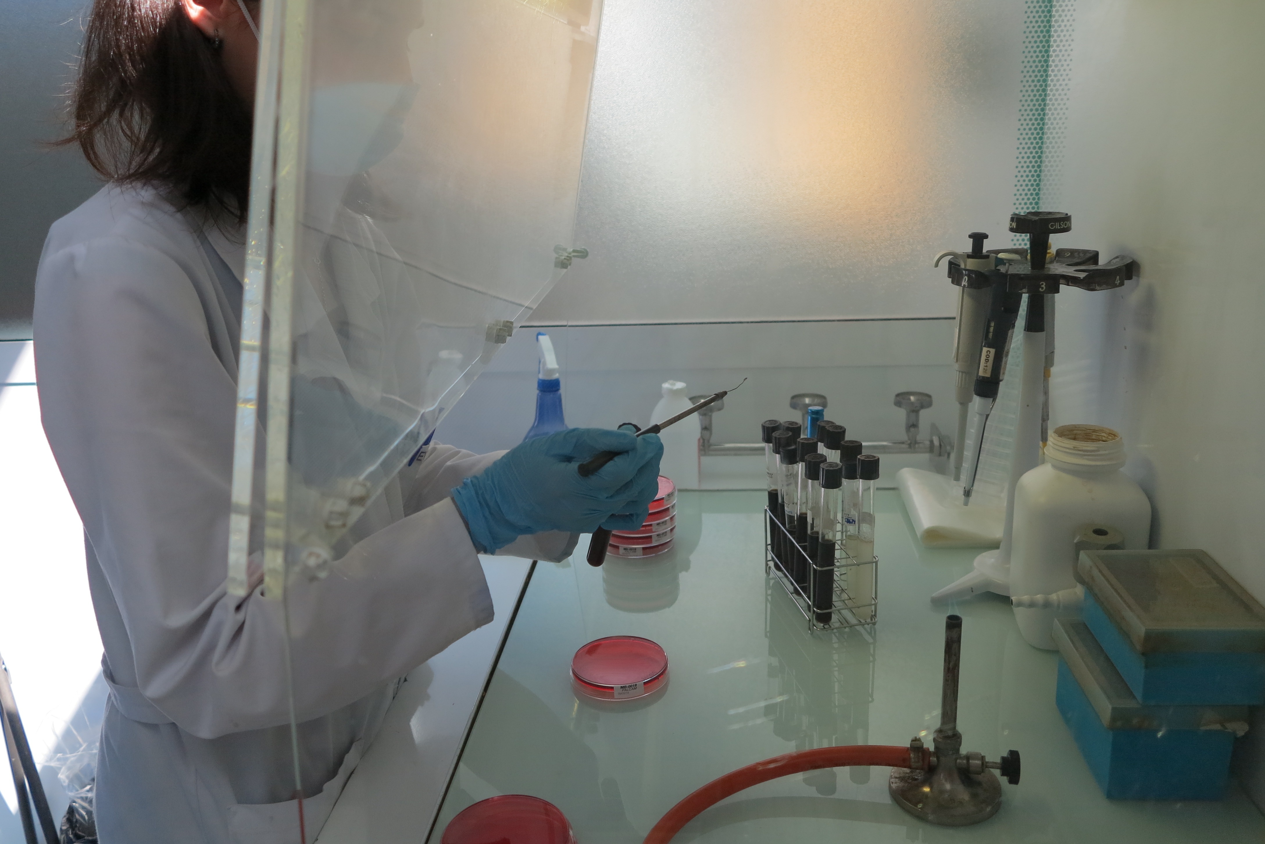 Lab Analysis Campaign free image download