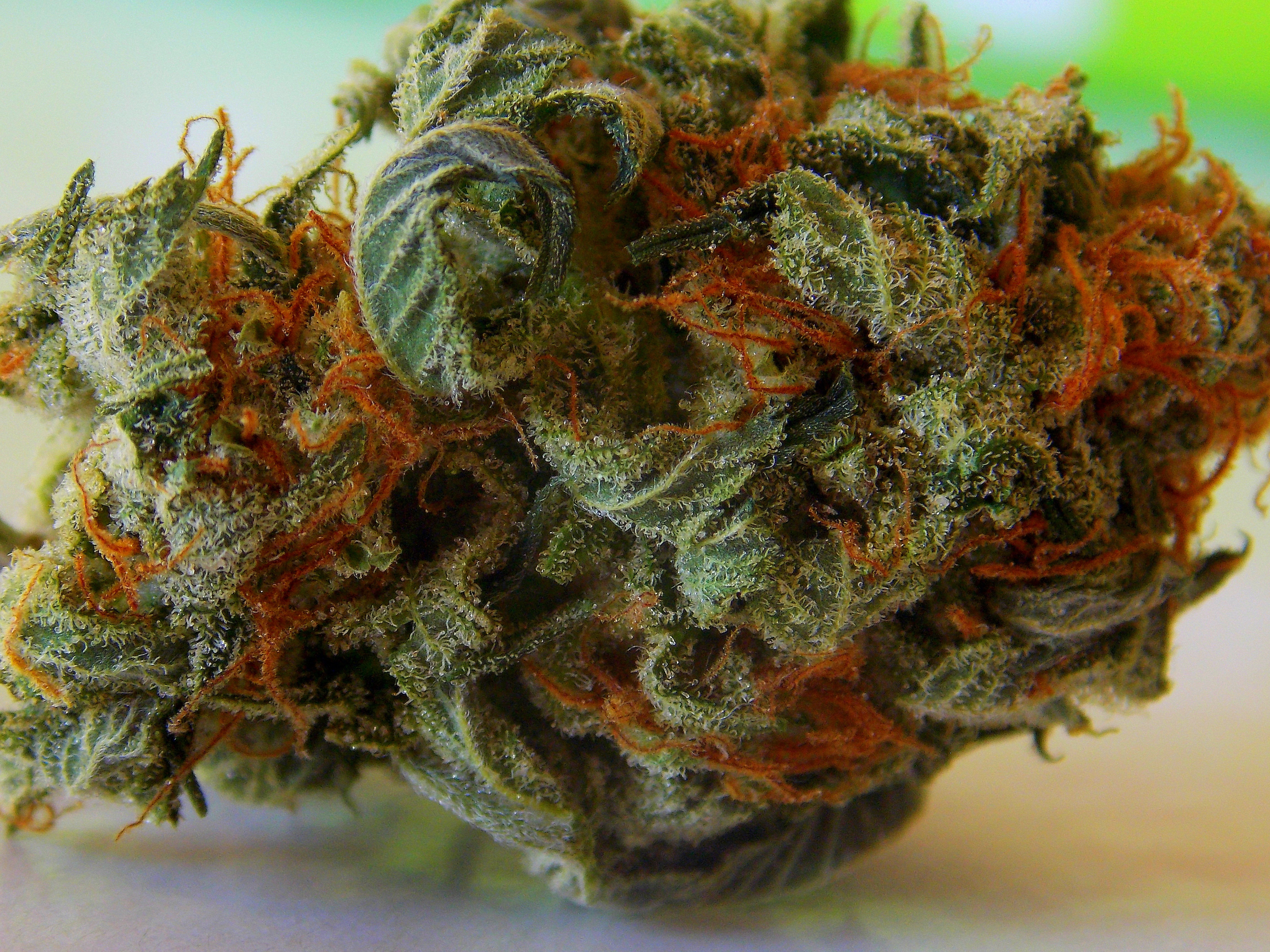 Strawberry Weed, Marijuana, Cannabis bud, macro free image download