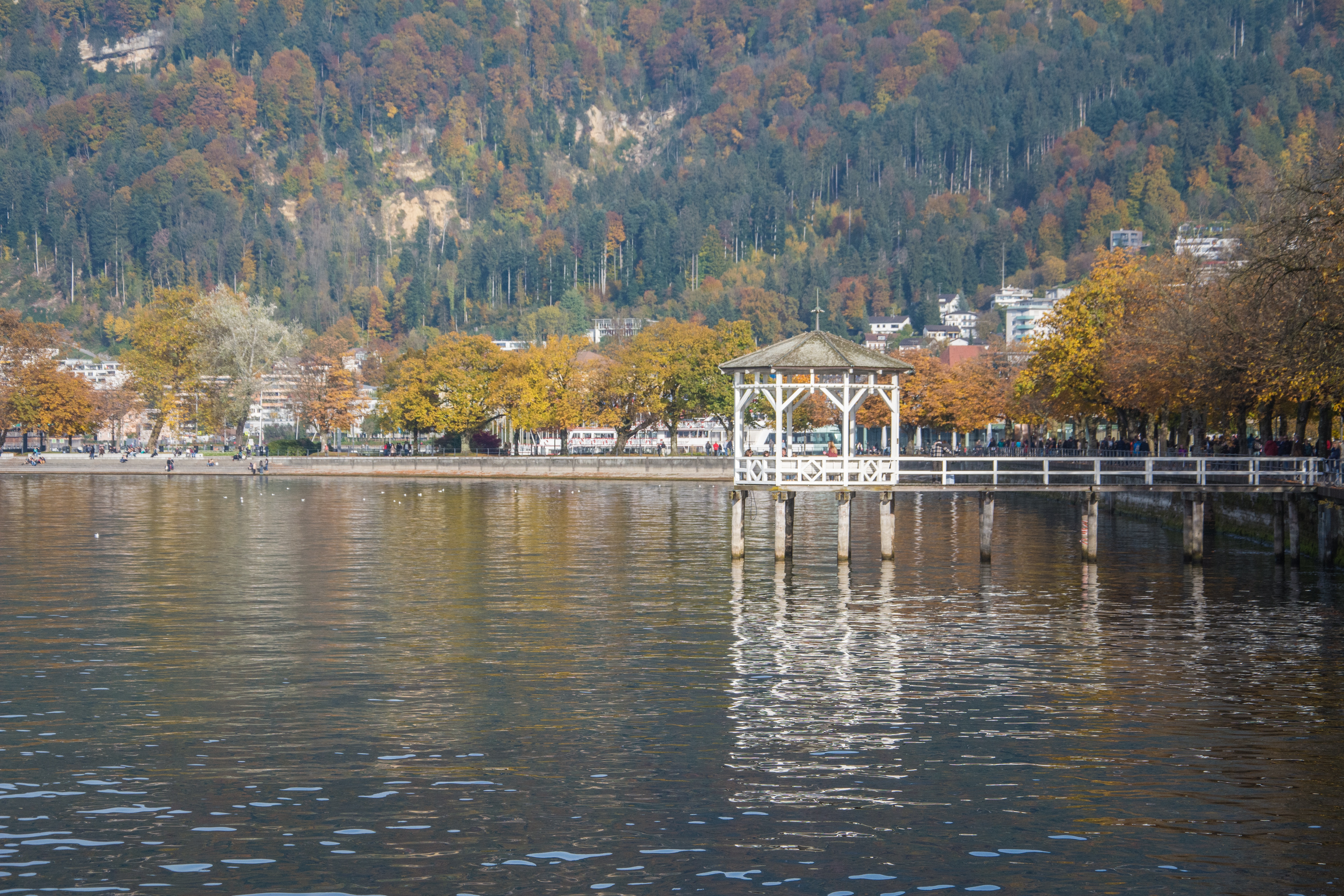 Kai Lake Constance Bank free image download