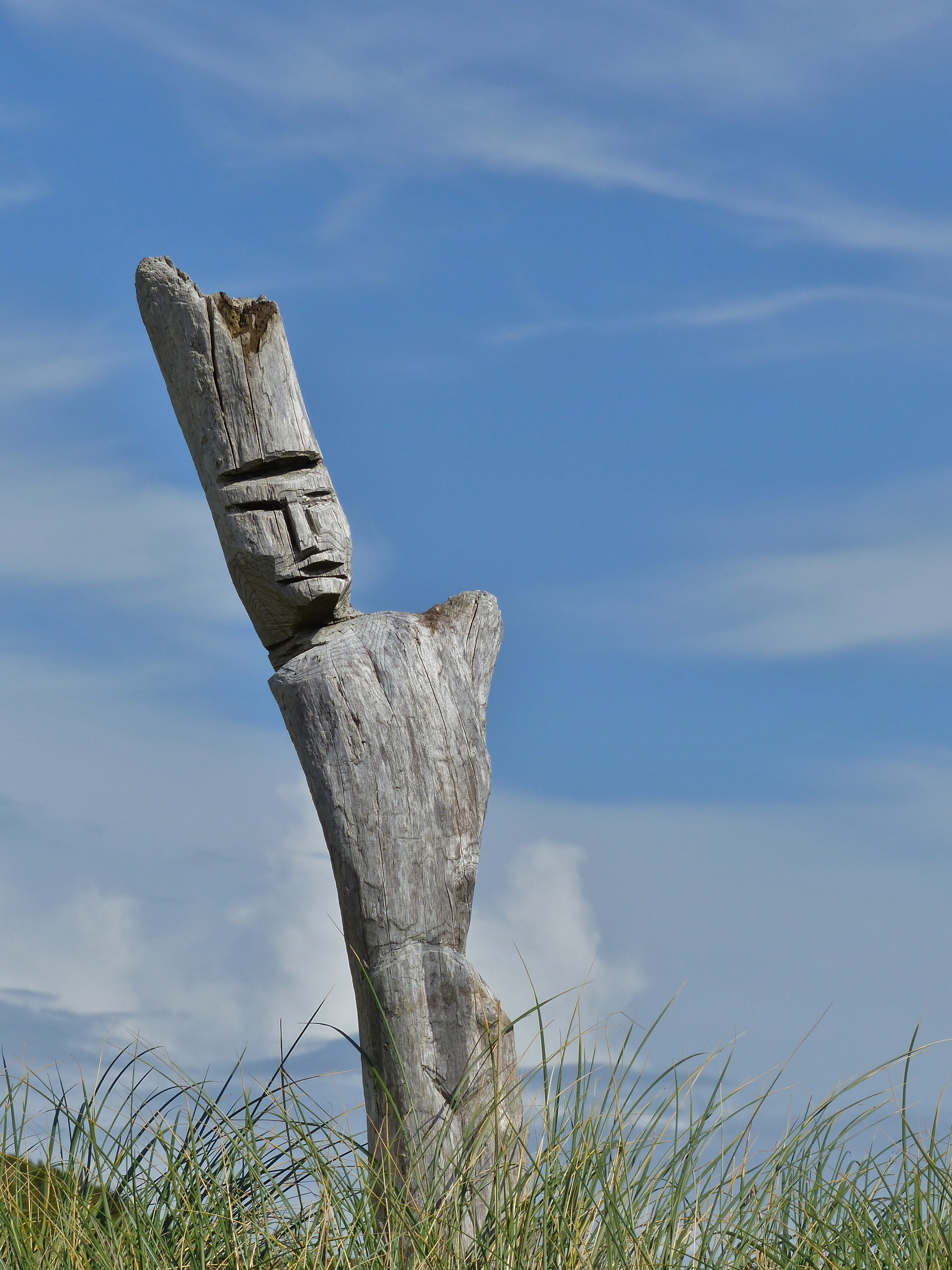 Wood Art Sky free image download