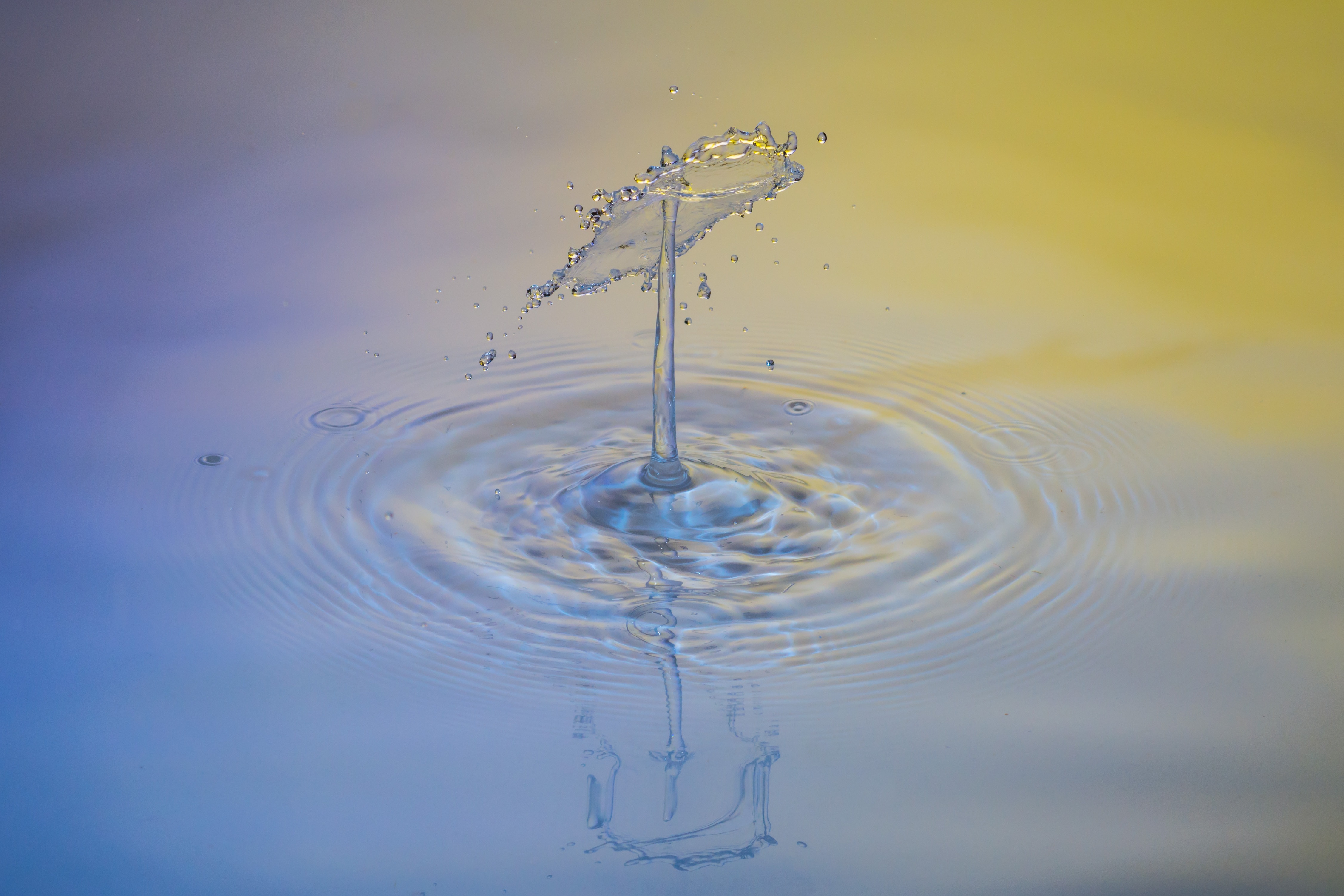 Drip Water Drop Of free image download