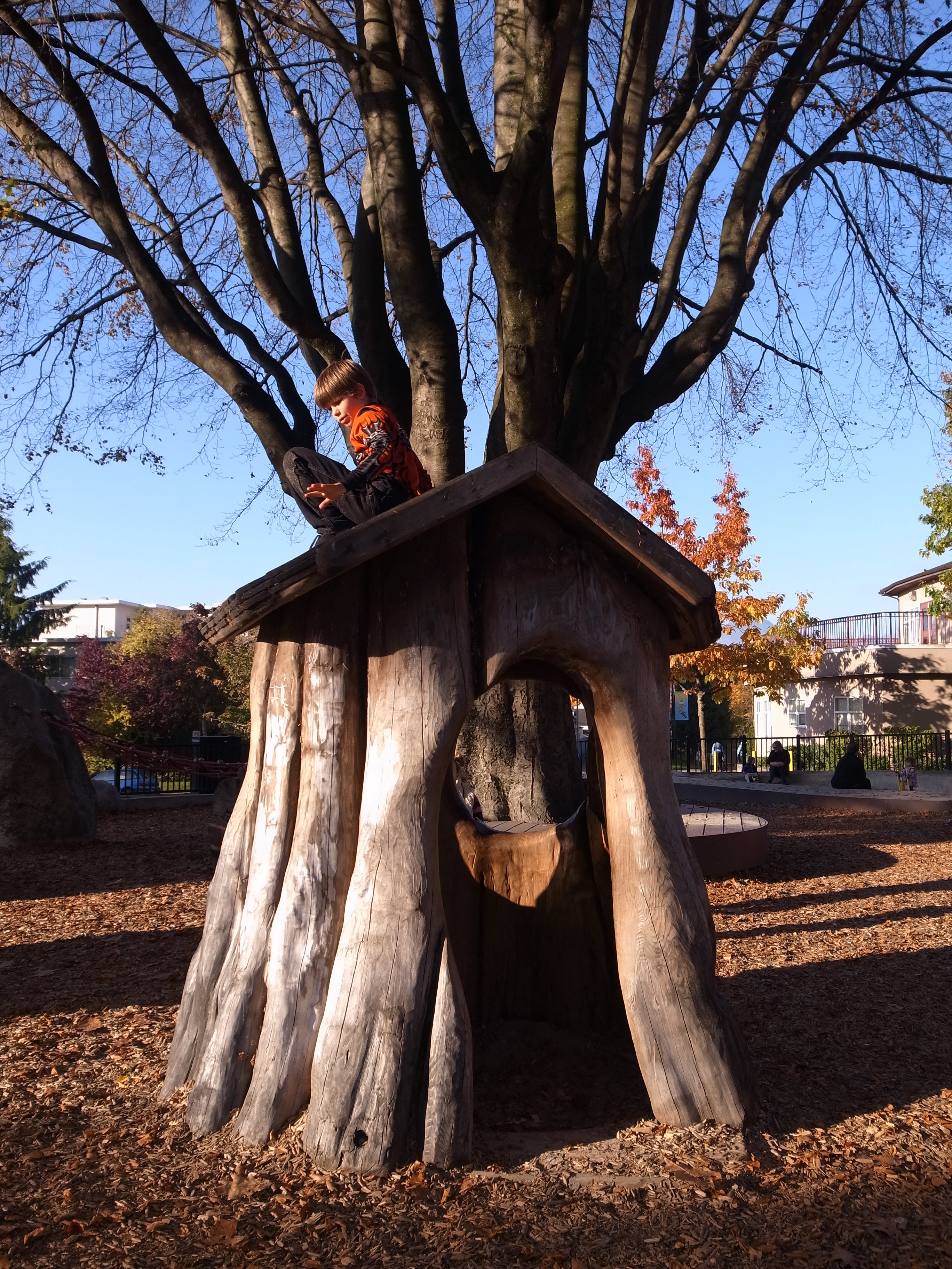 Log Cabin Play free image download