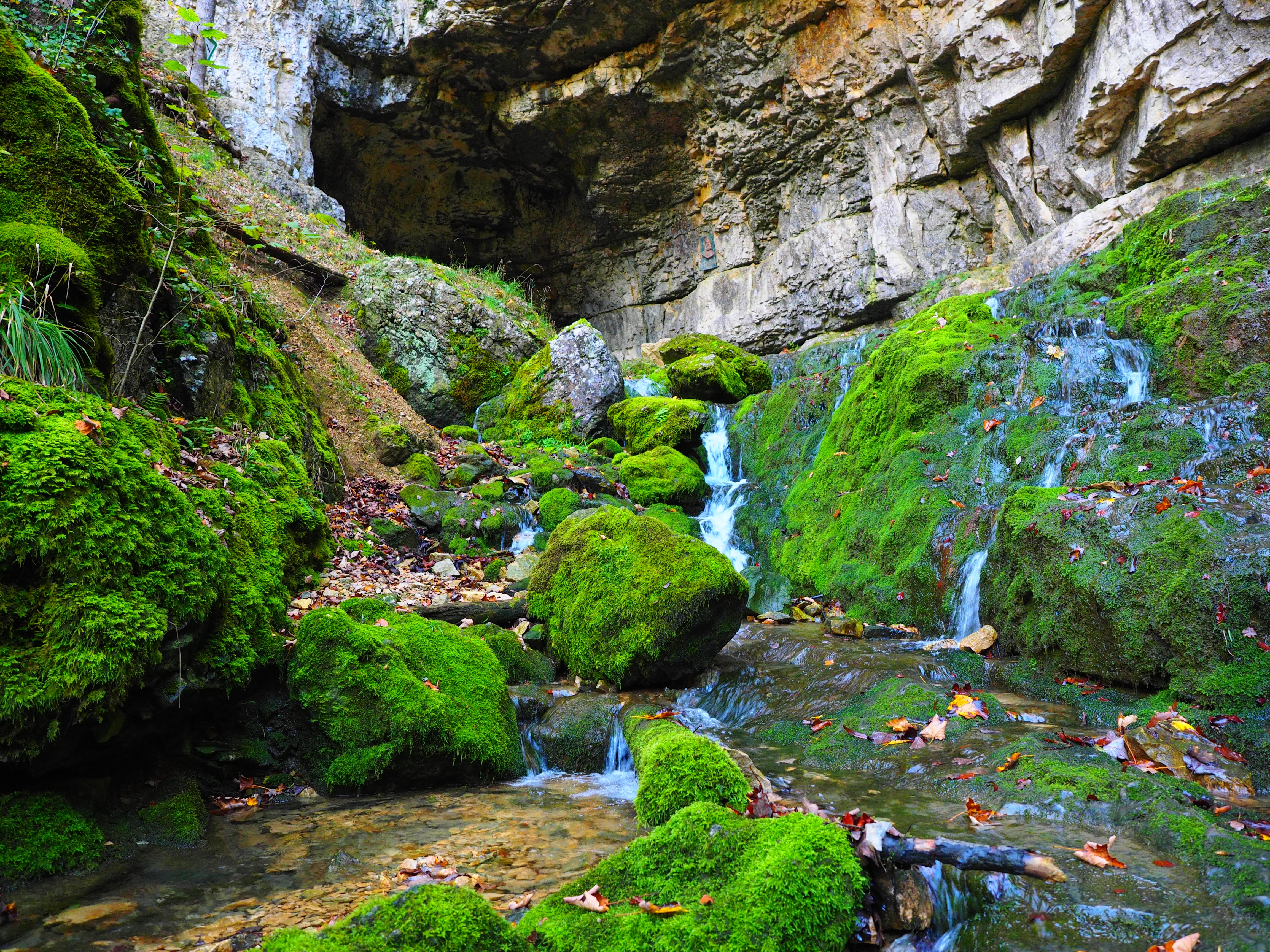 Elsach River Falkensteiner Cave free image download