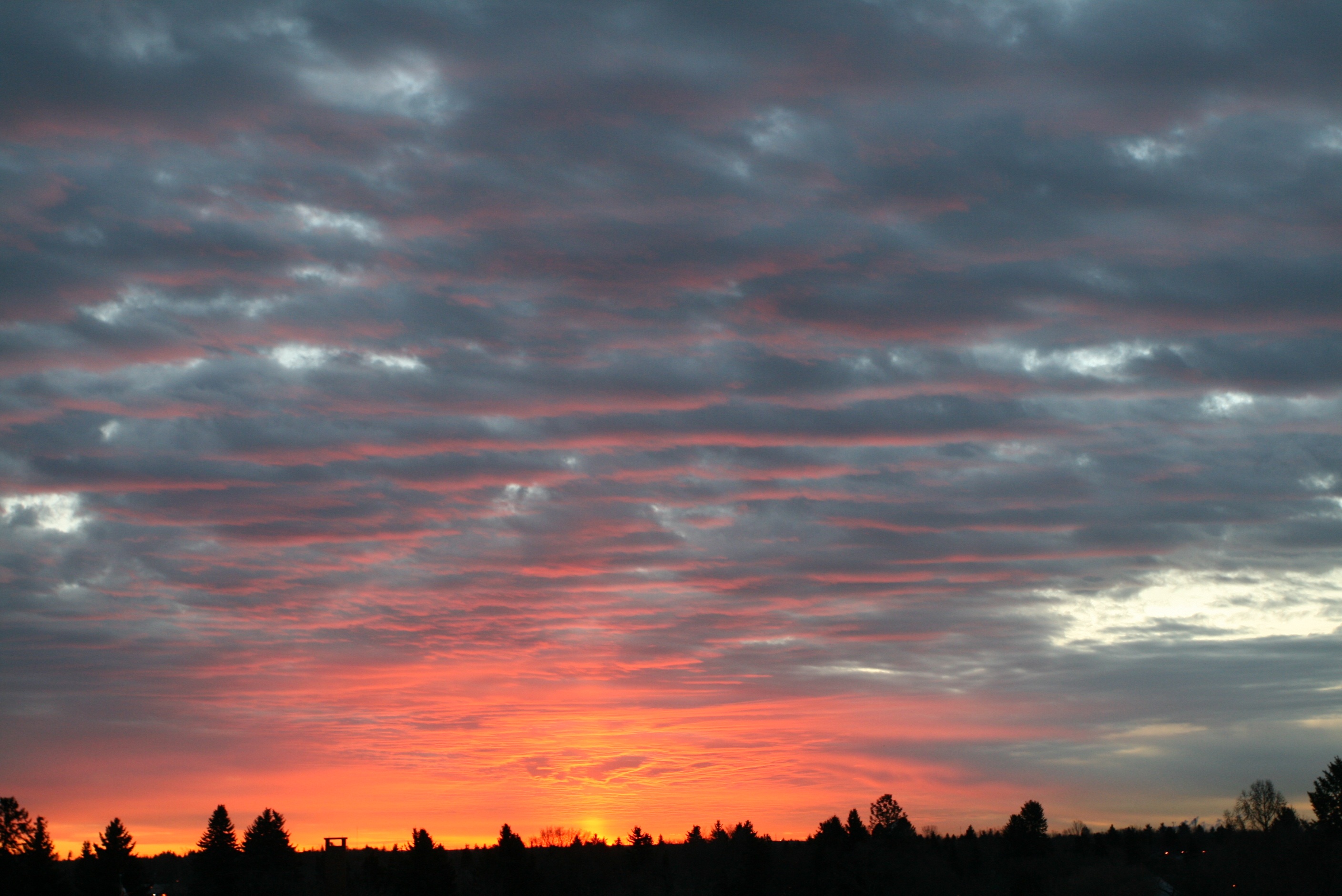 Sunrise in Edmonton Alberta free image download