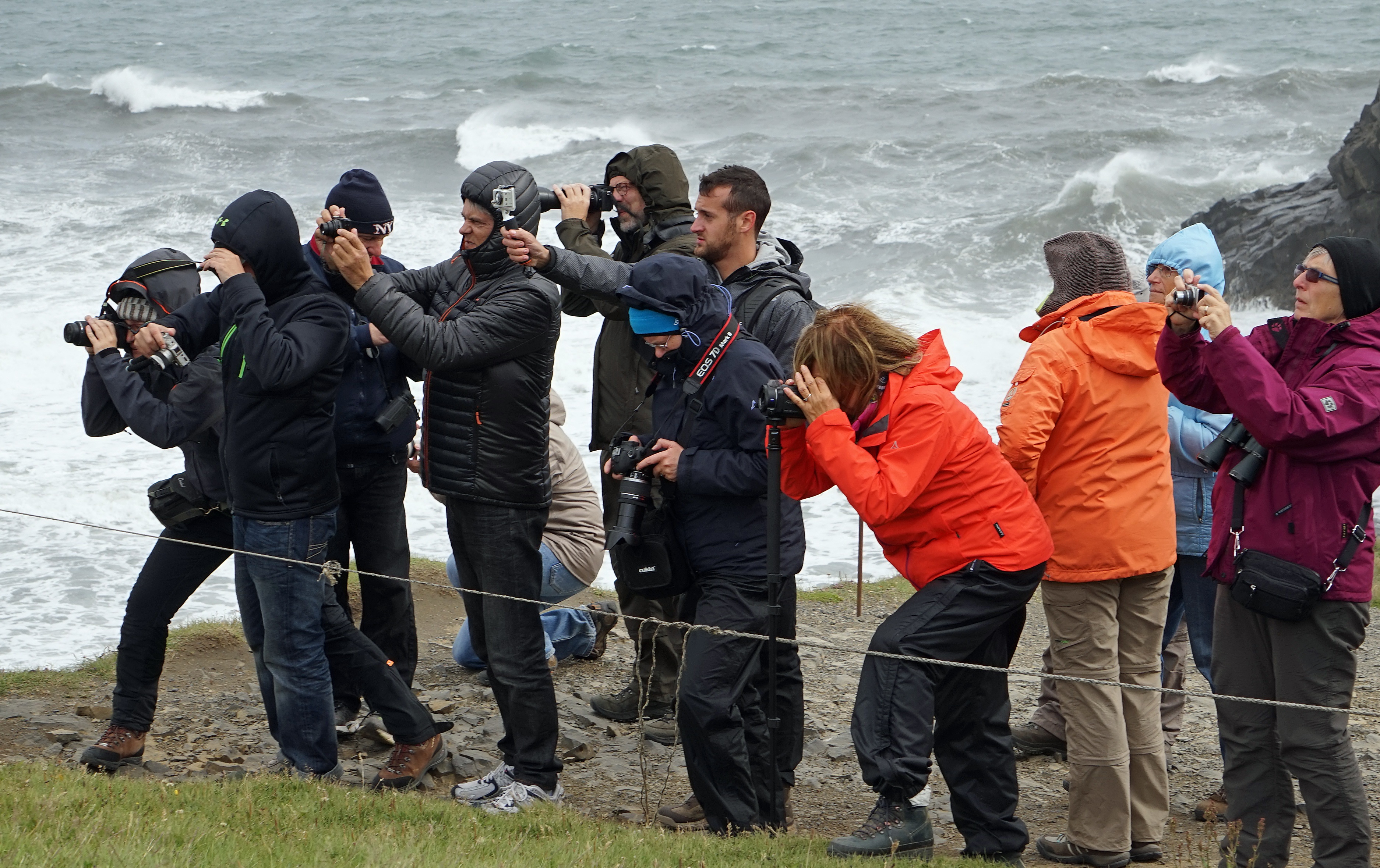 Human Photographers by the sea free image download