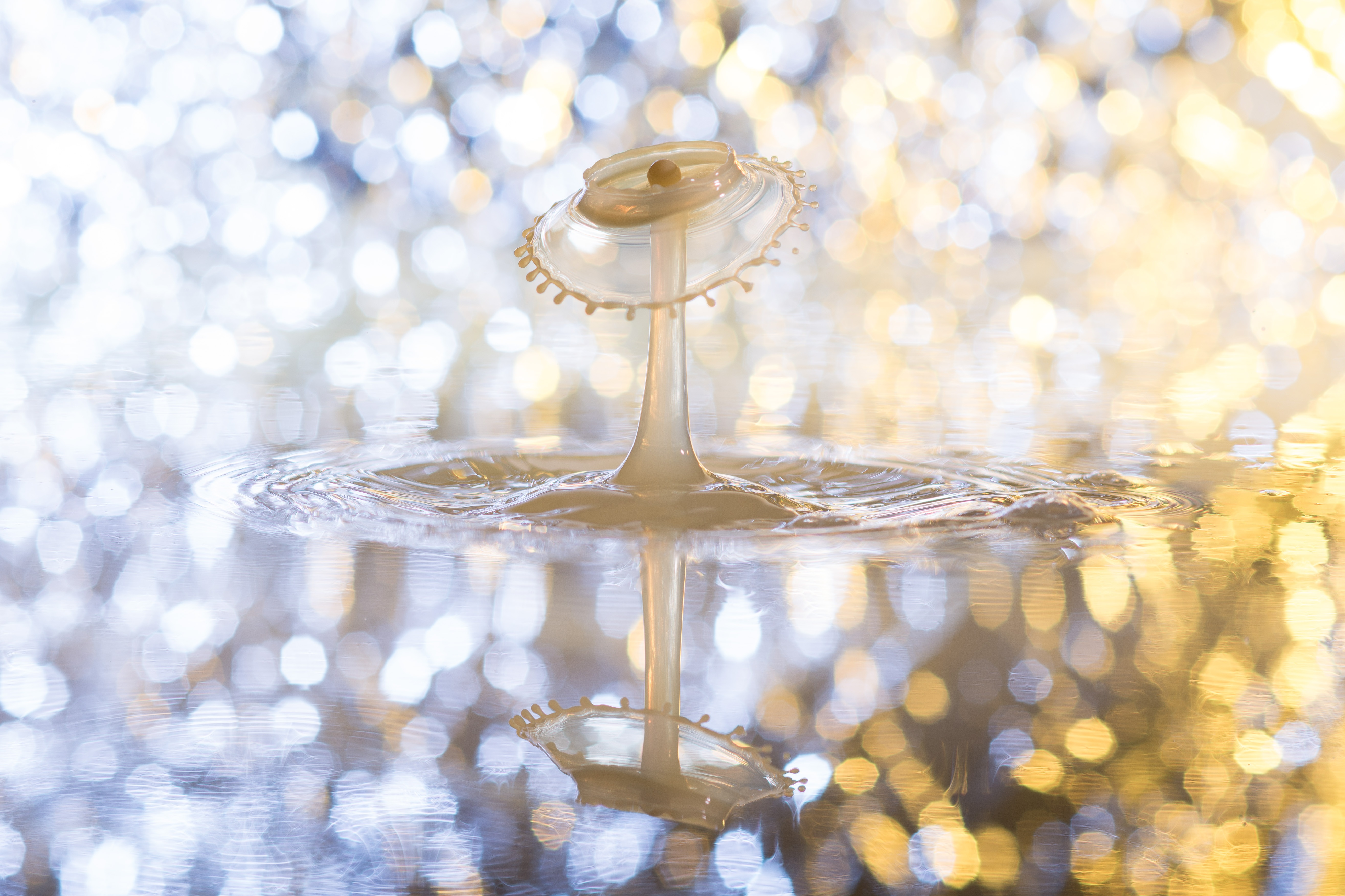 Drip Water Drop Of free image download