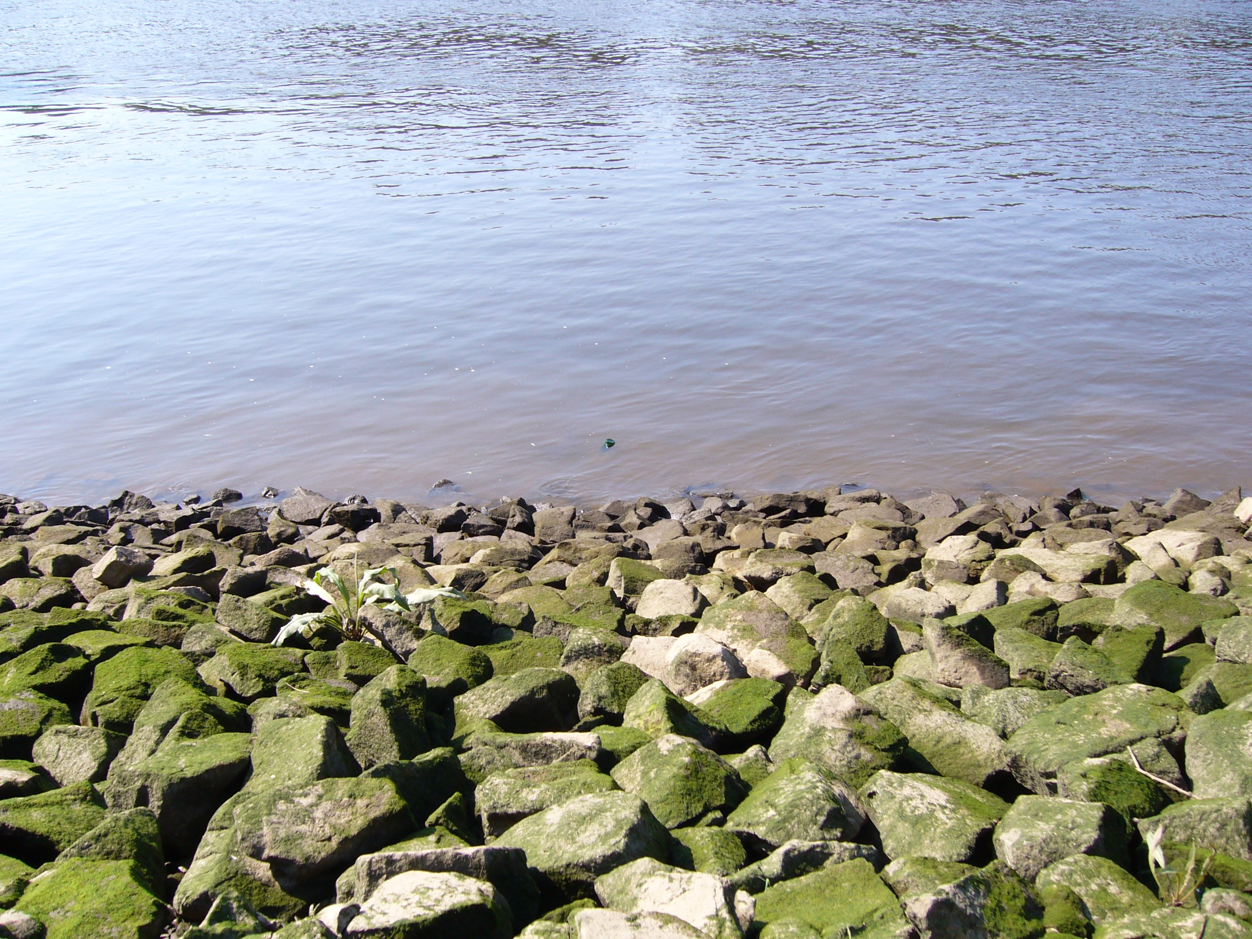 Message In A Bottle Water Bank free image download
