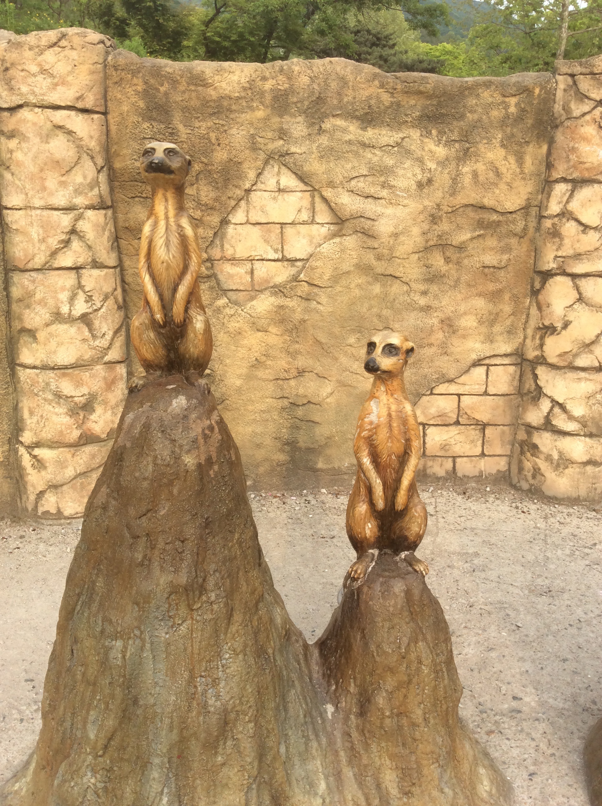 Zoo Interesting Statue free image download