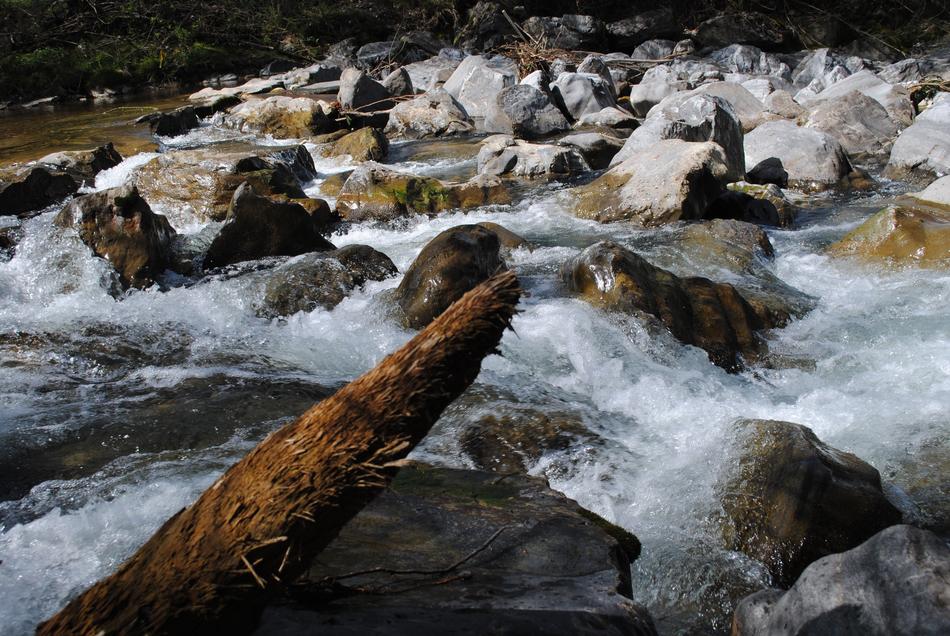 Water Log River Drift free image download