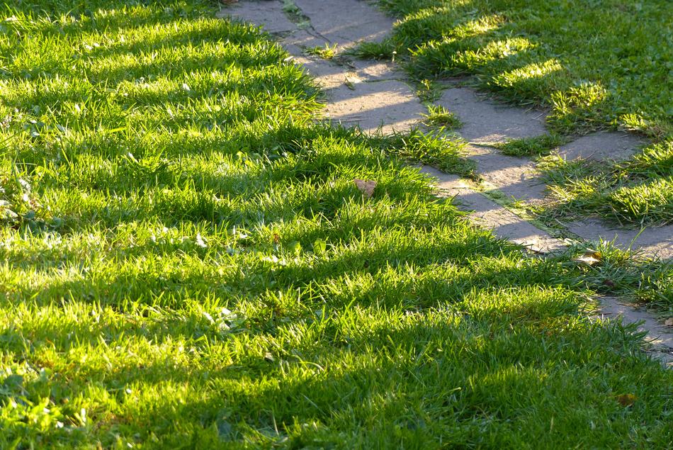 Lawn Path Garden free image download