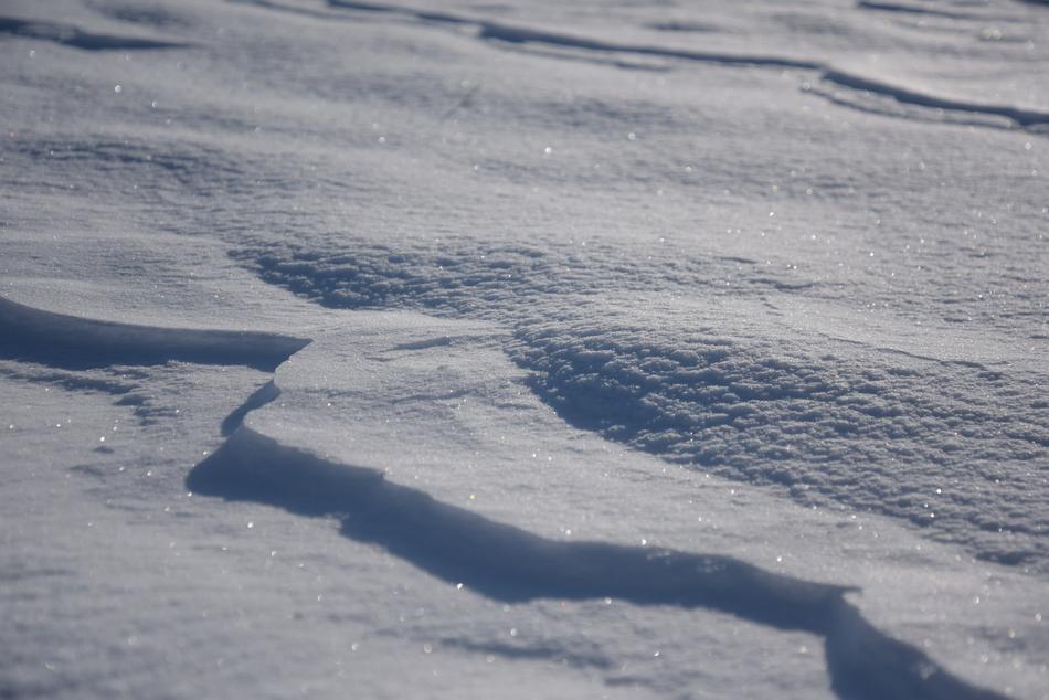 Snow Winter Cold free image download