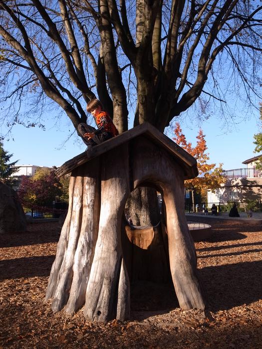 Log Cabin Play free image download