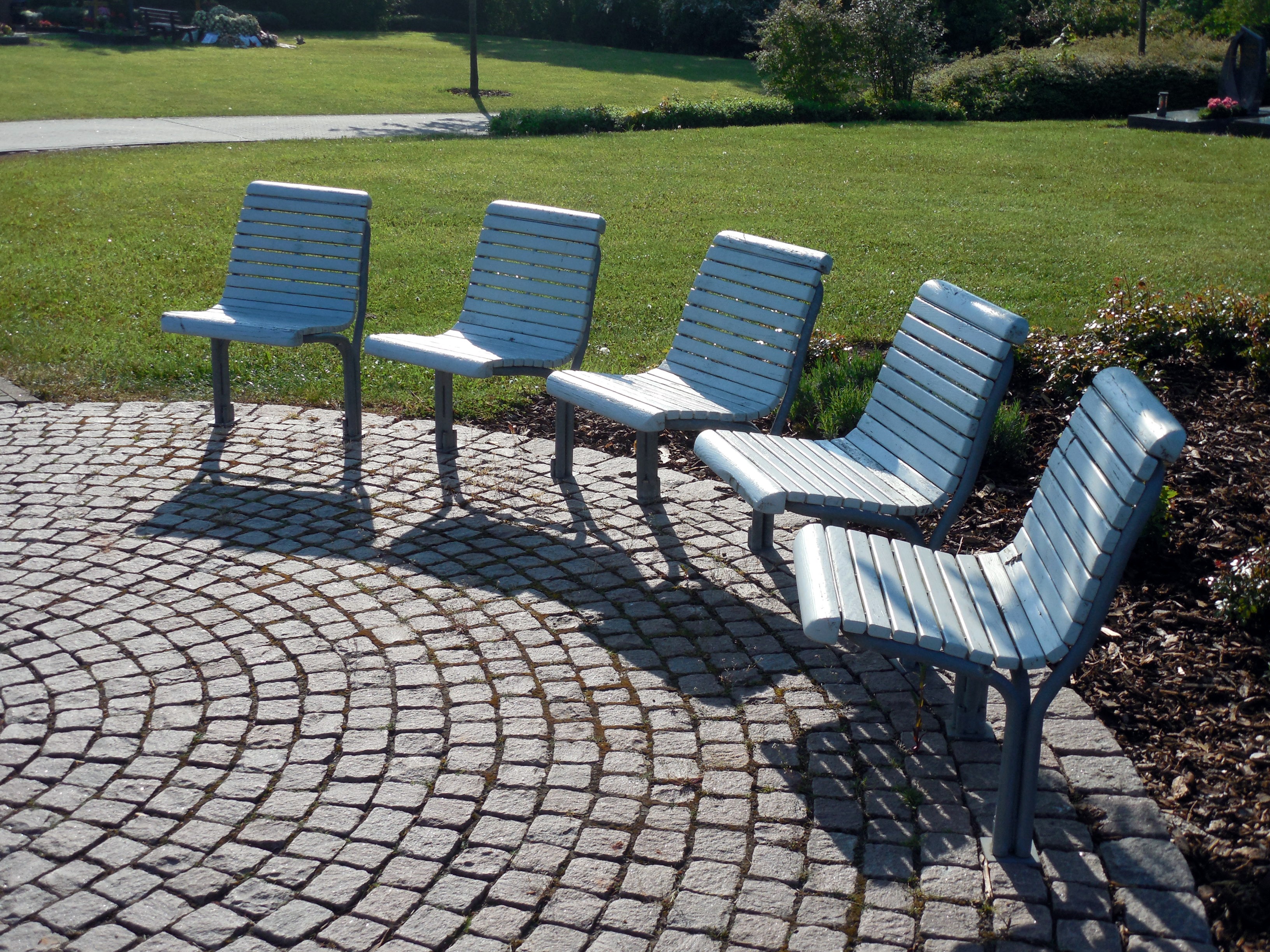 Benches Sit Park free image download