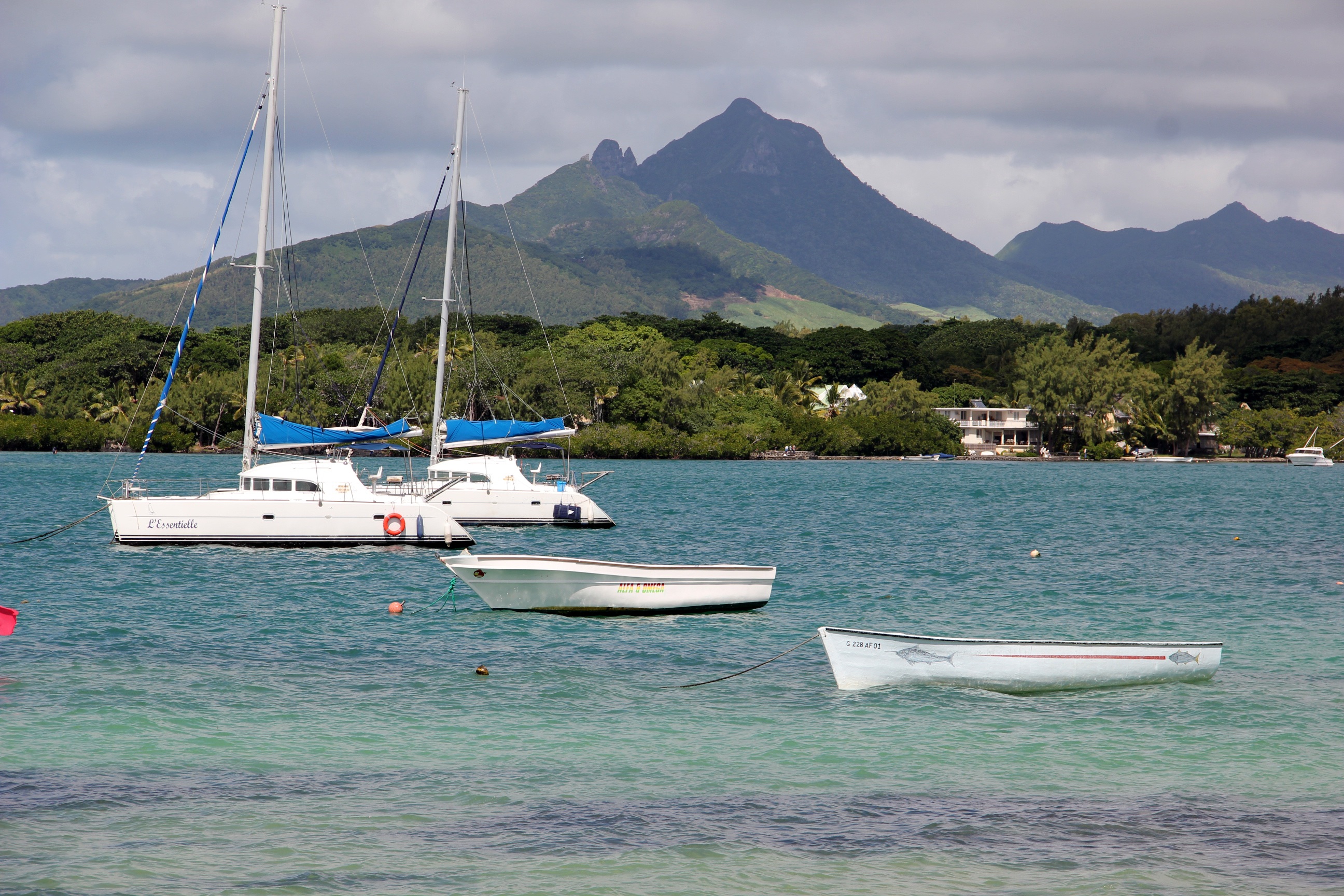 Boats Sea Island free image download