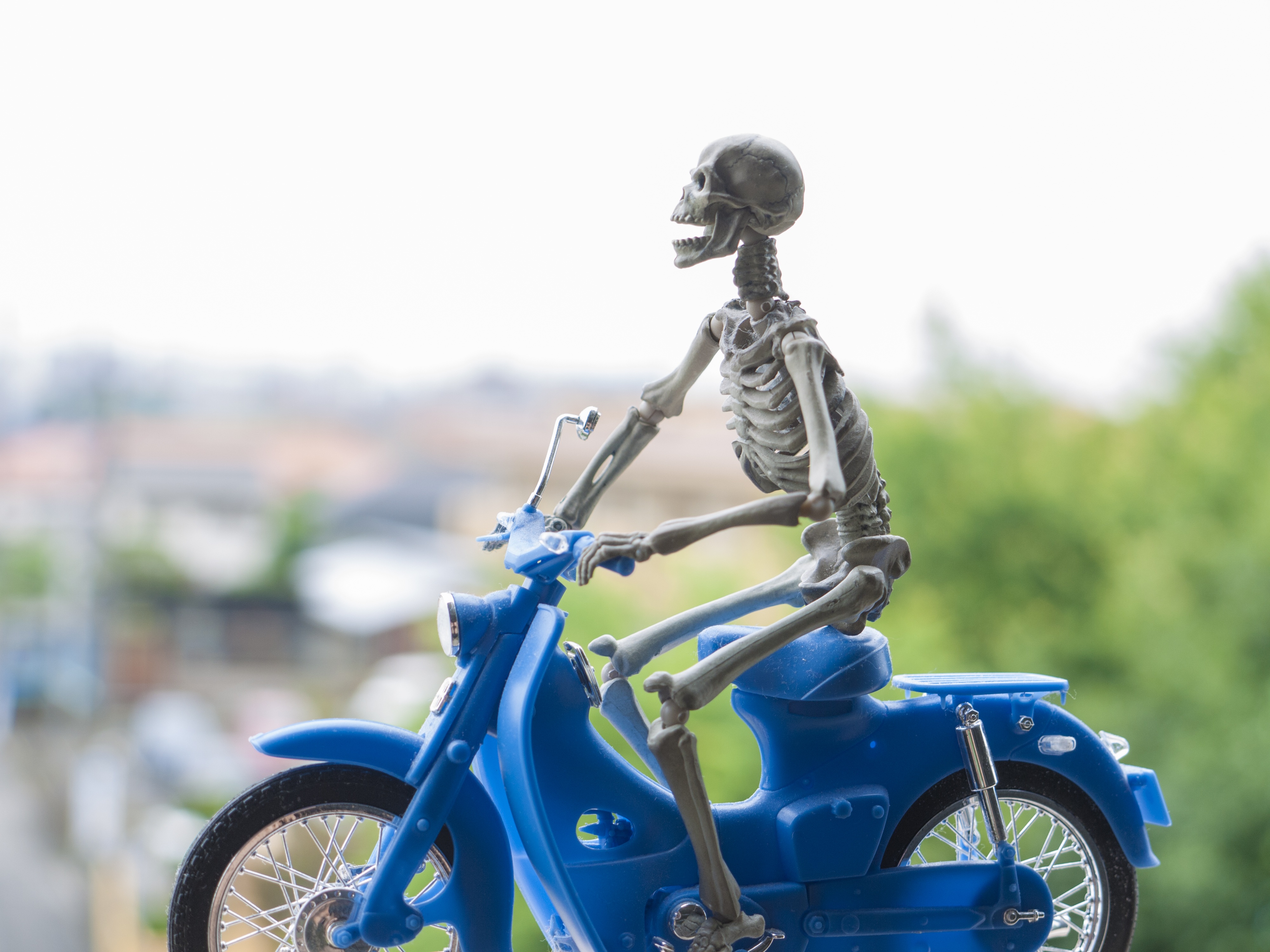 Skeleton on blue motorcycle free image download