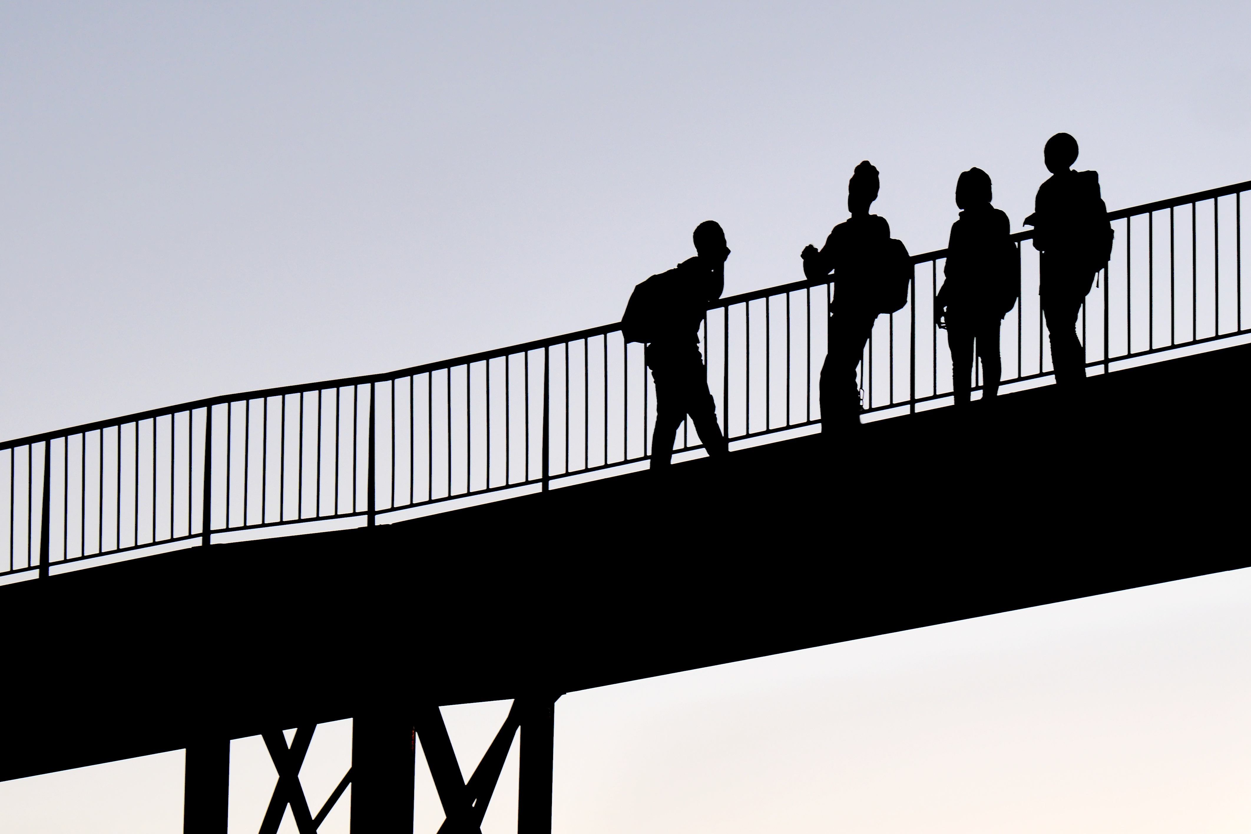 Web Silhouette Graphic free image download