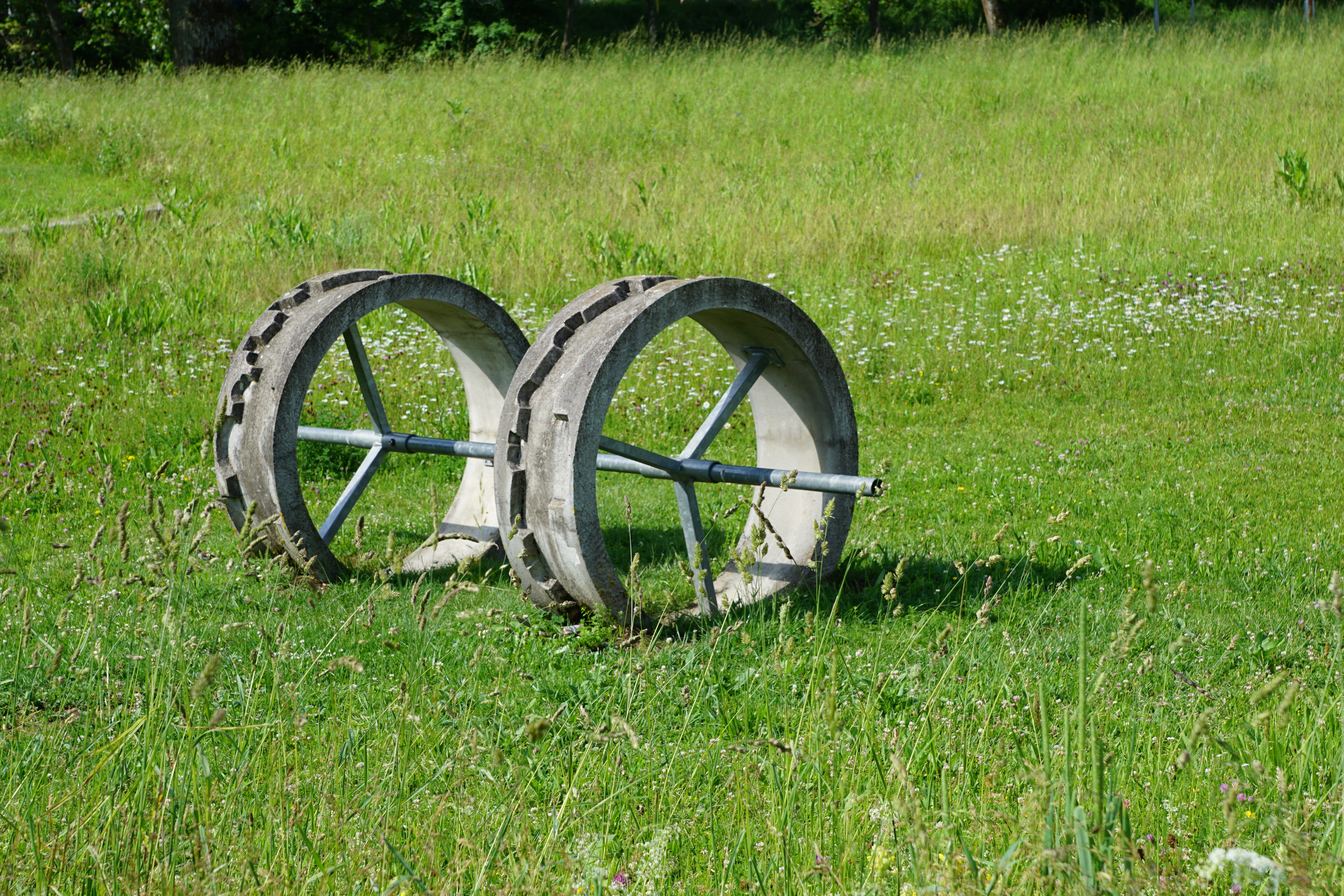 Wheel Invent Meadow free image download