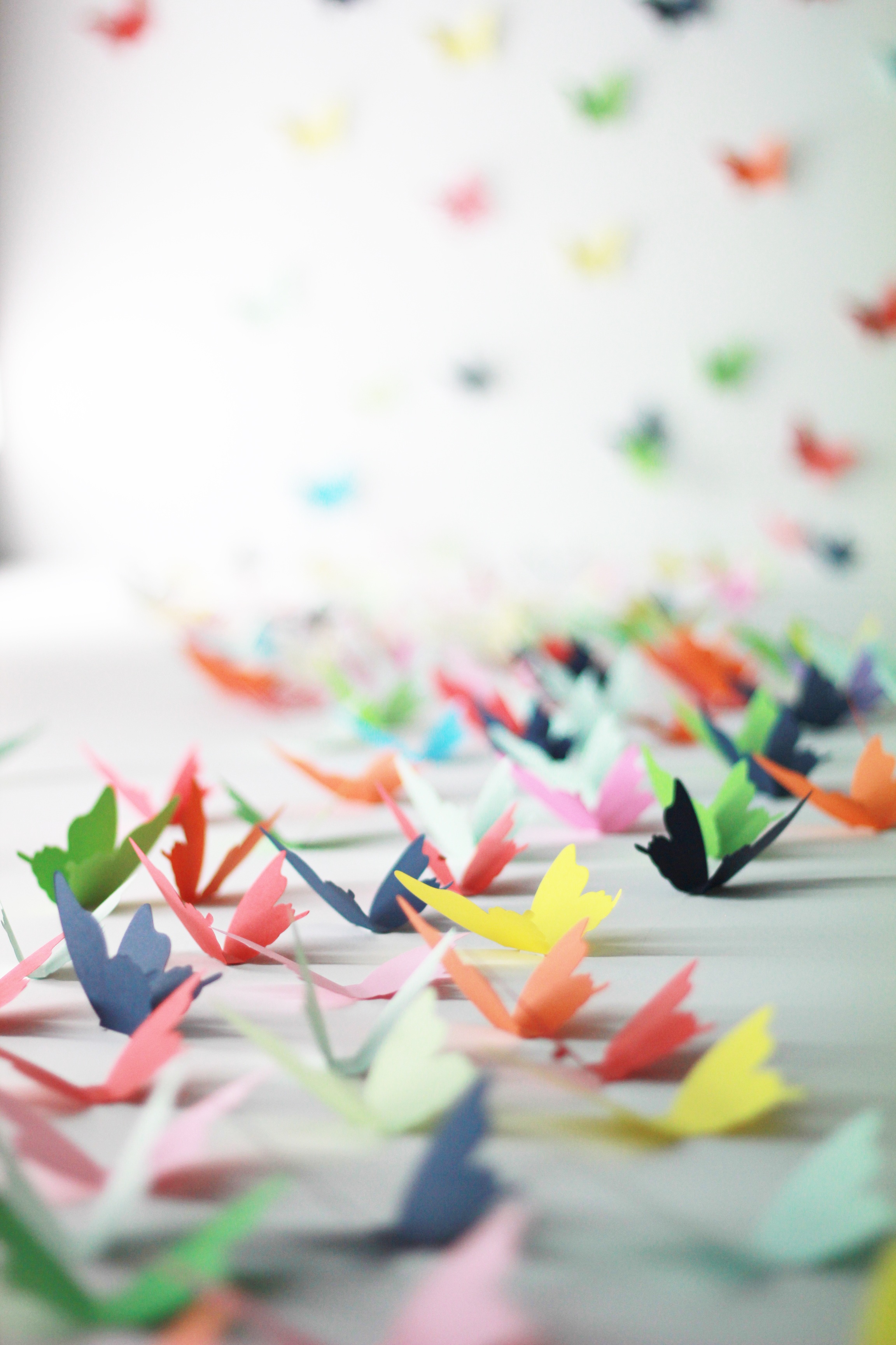 Butterfly Small Fresh Fly free image download