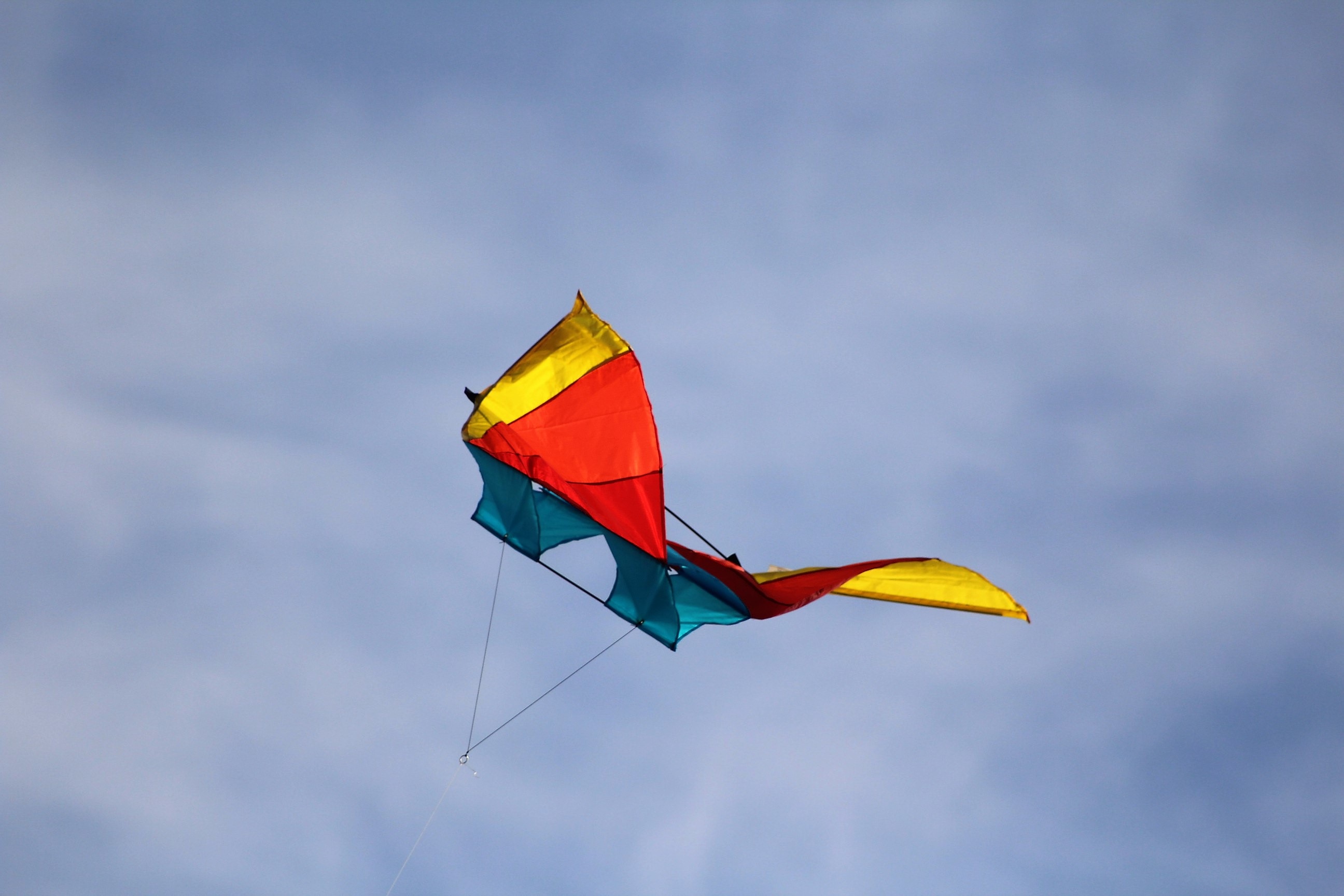 Dragons Flying Dragon Rising free image download