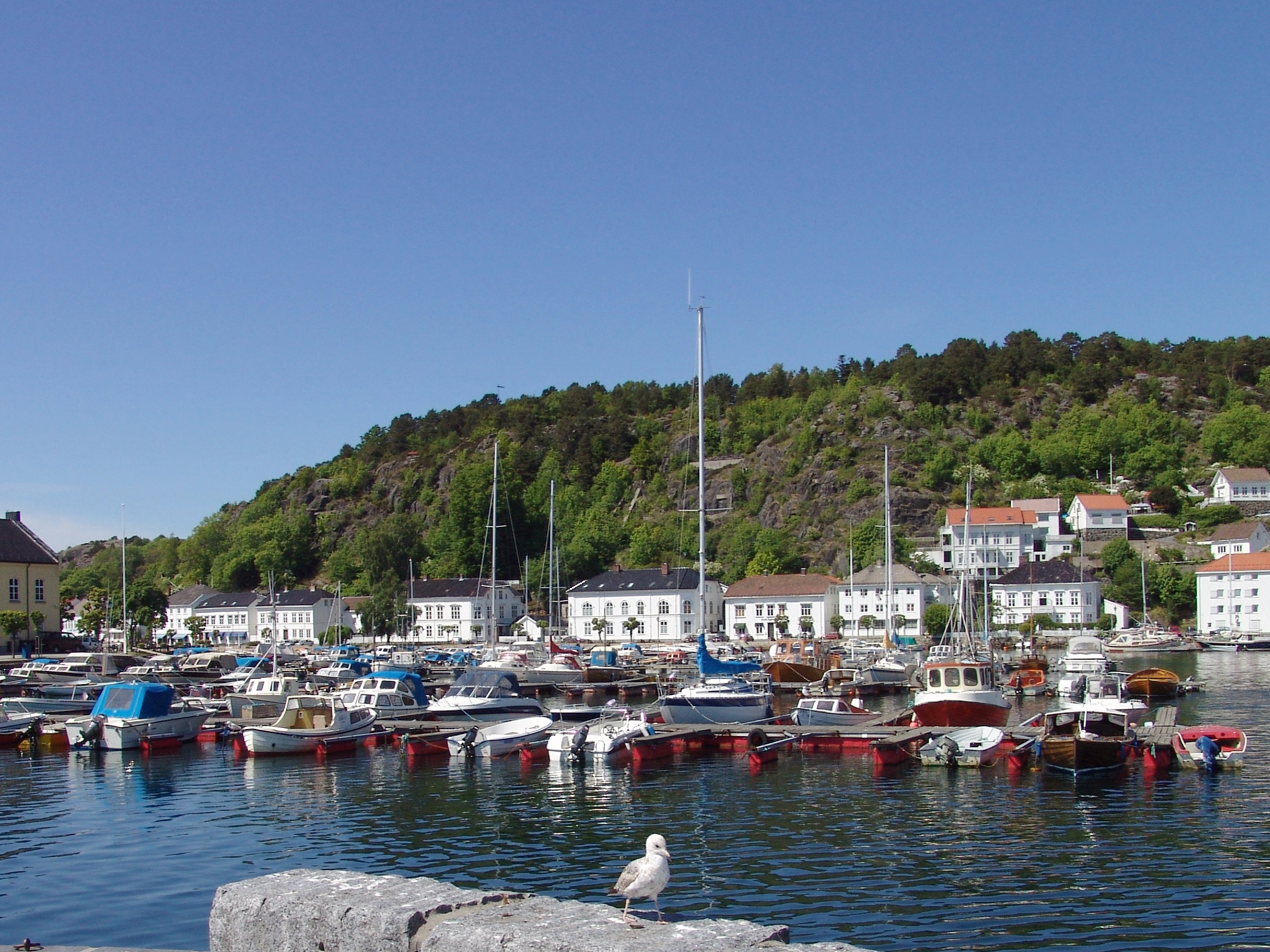 Norway Small Port Sea free image download