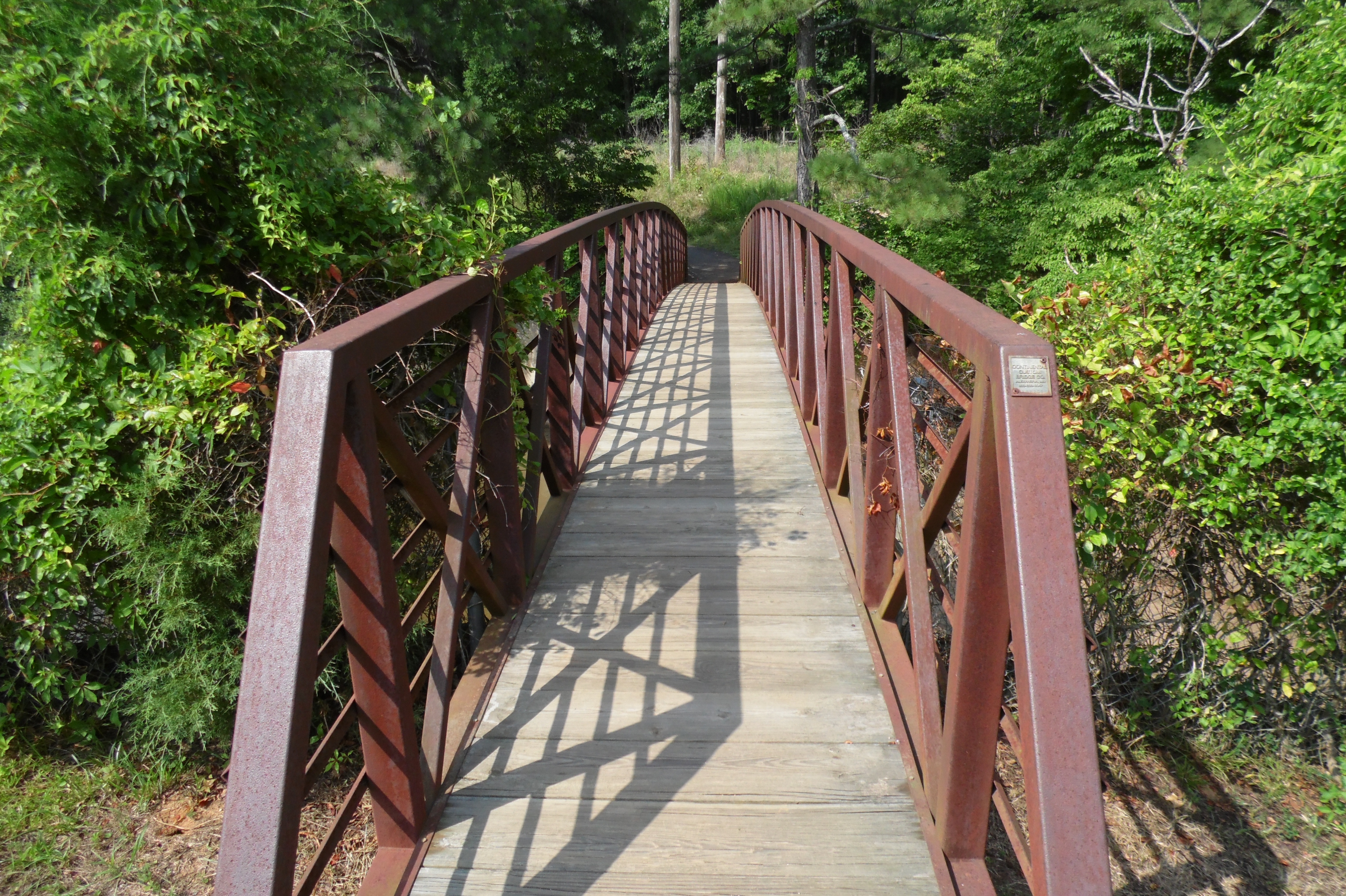 Bridge Walkway Park free image download