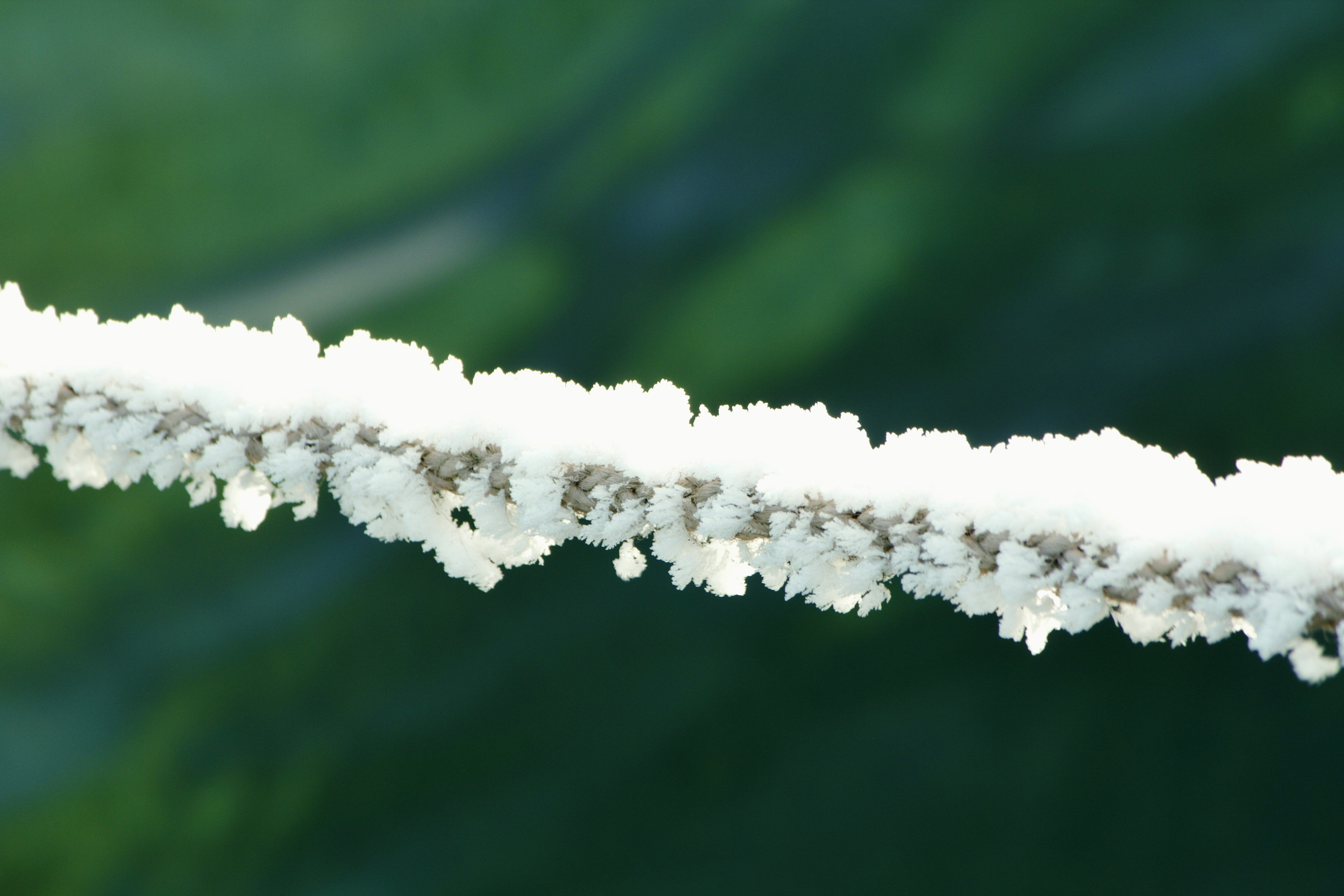 Winterimpression Freezing free image download
