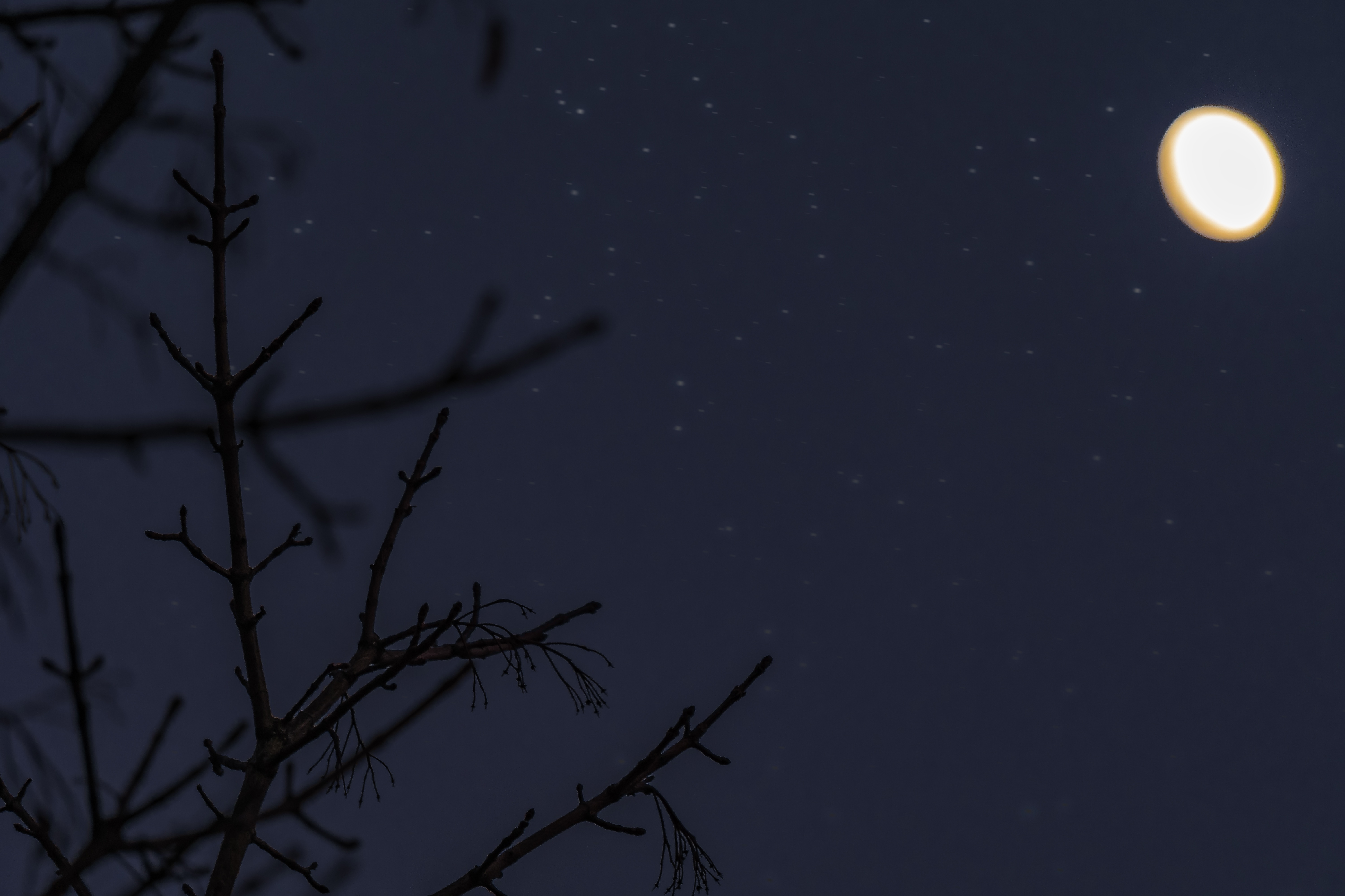 Winter Moon Moonlight free image download