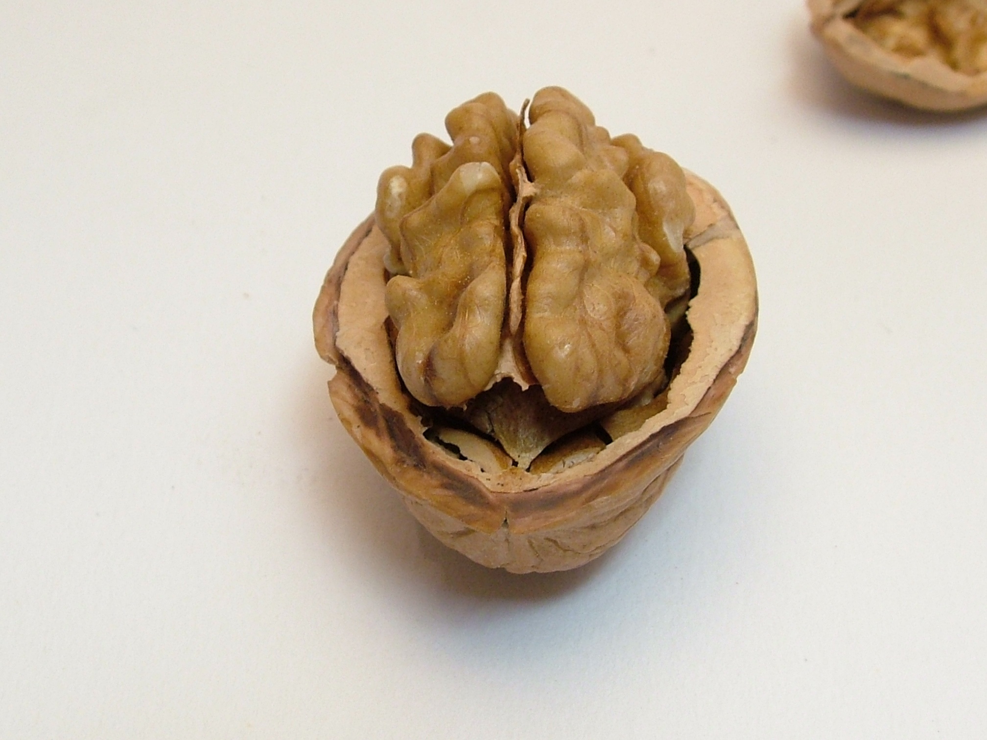 Nut Walnut Half free image download