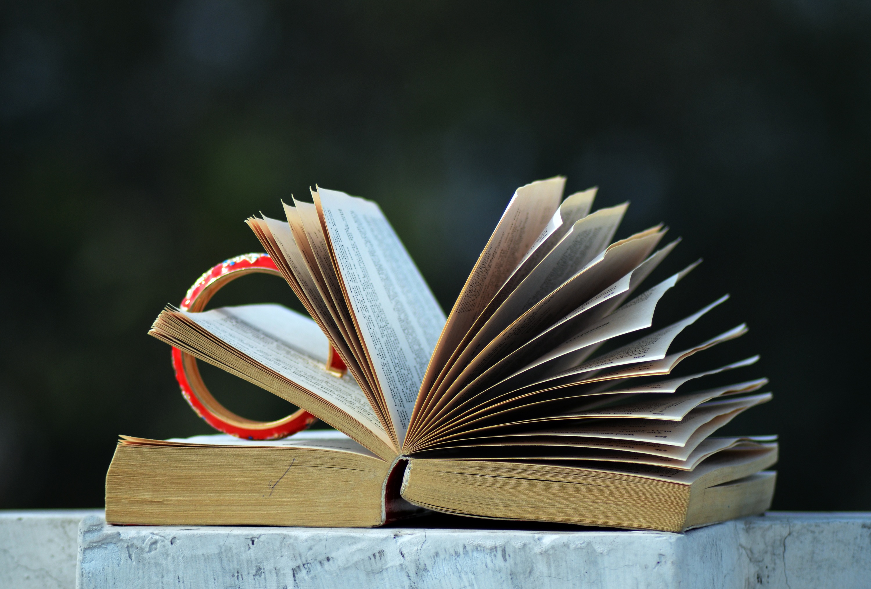 Open Book Reading free image download