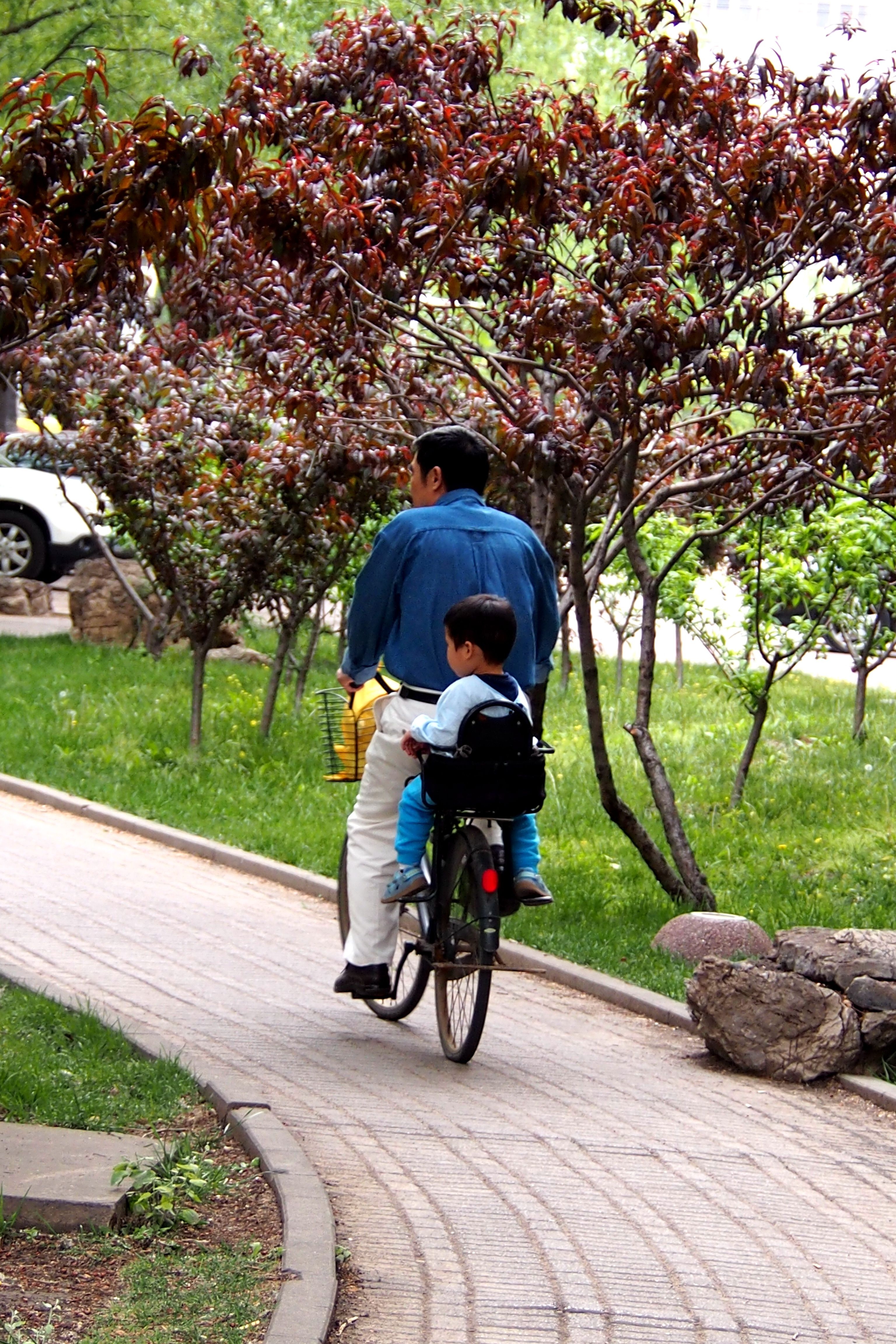 Father And Son Figure The Scenery free image download