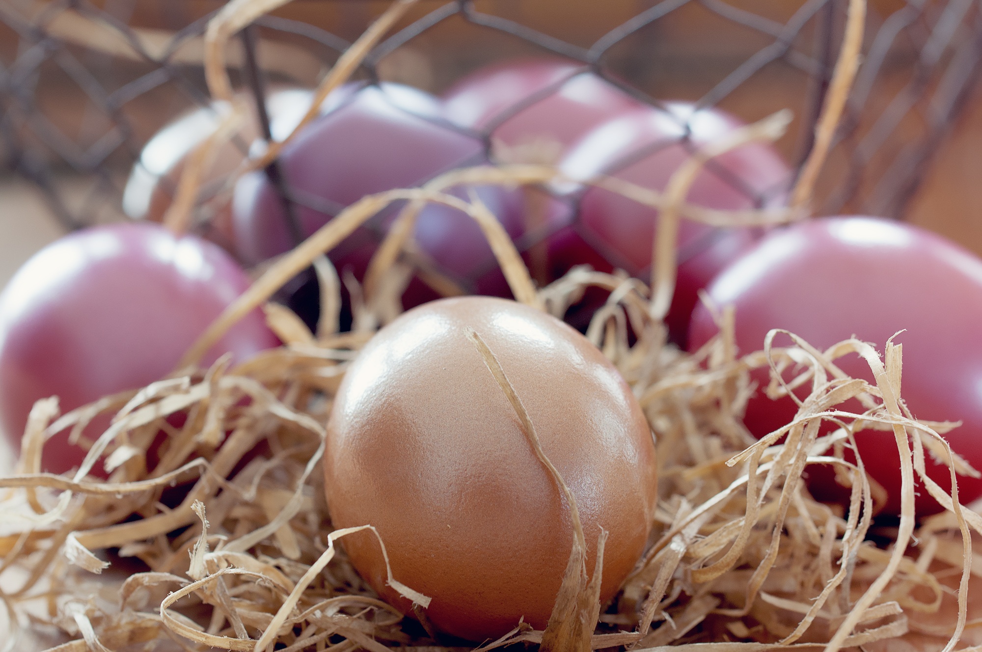 Easter Eggs Egg Colorful free image download