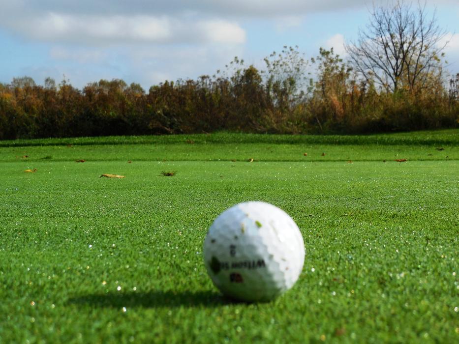 Golf Green Turf free image download
