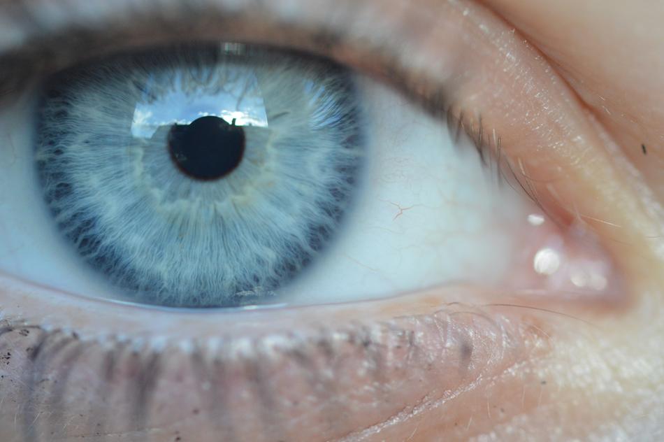 Eye Blue Pupil free image download
