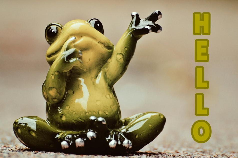 Hello welcome wave frog funny free image download