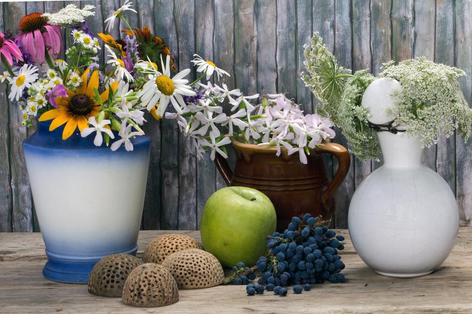 Still Life Flowers Vases Flower free image download