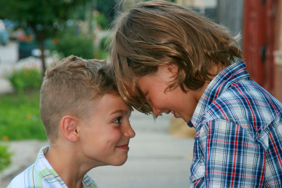 Brothers Portrait Blond free image download